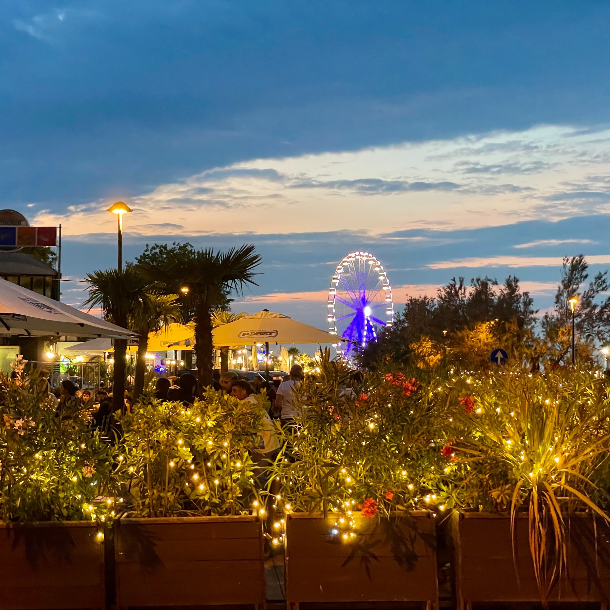 Mike Tosti | Fora Travel