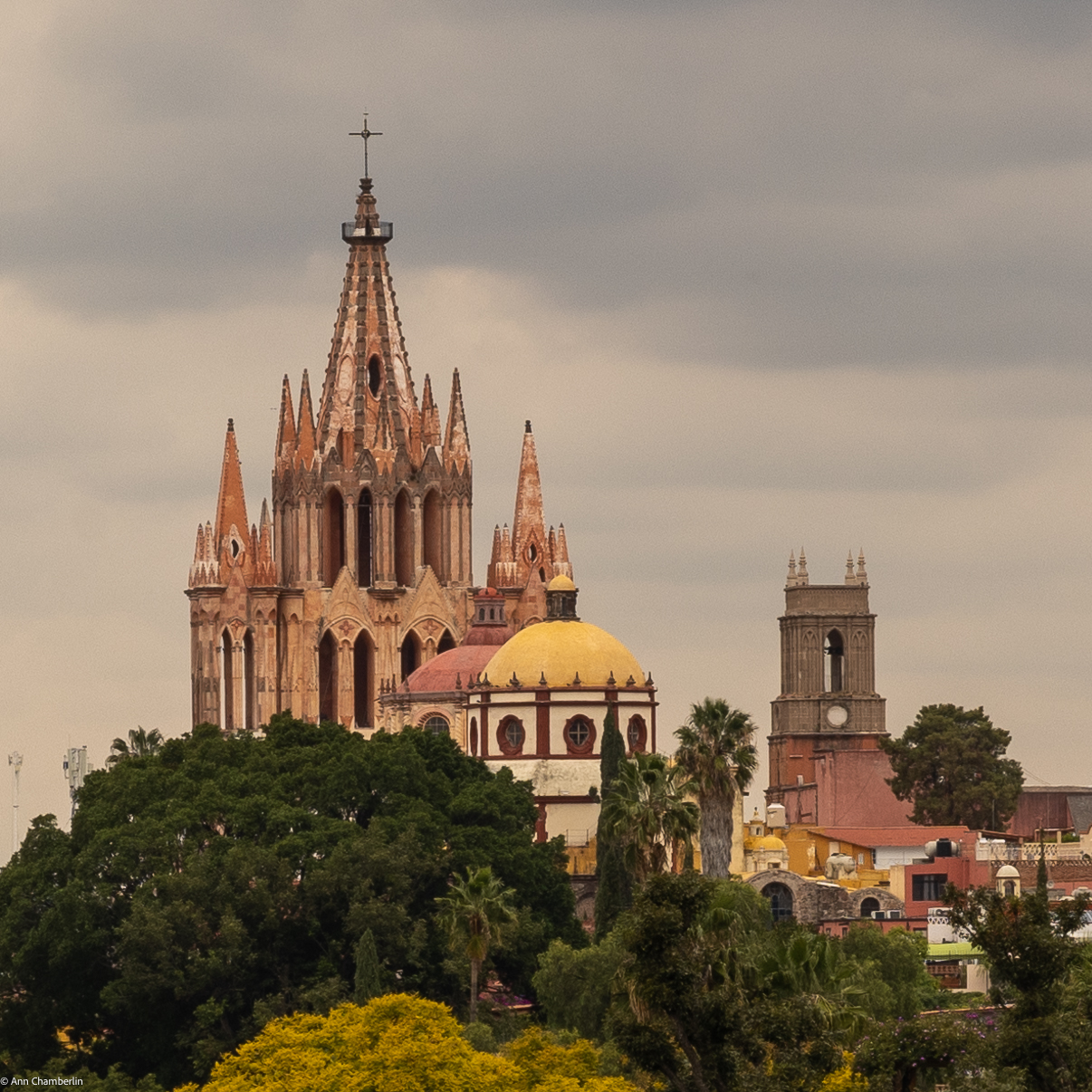 Discover San Miguel Allende with the Ultimate Food and Art Lover's Guide