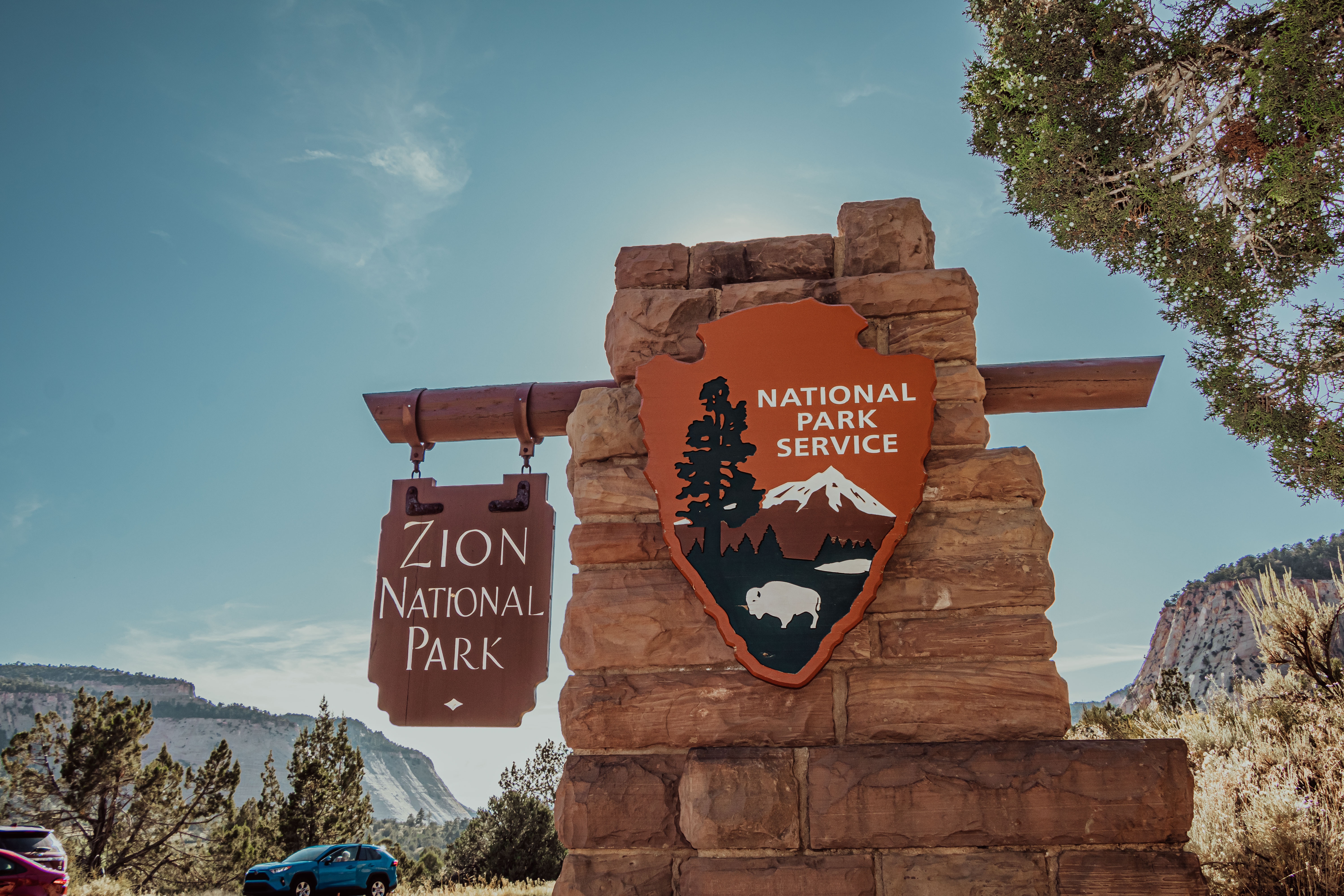 Discover Zion National Park: The Ultimate Guide to Hiking, Wildlife ...