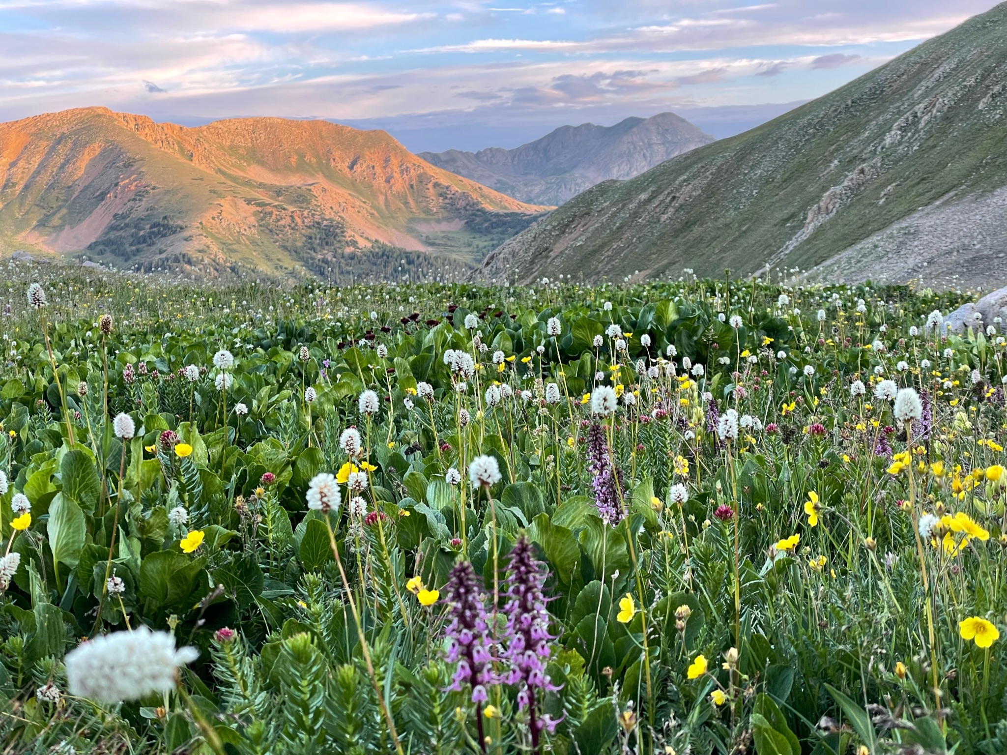 Morgan Baker | Fora Travel