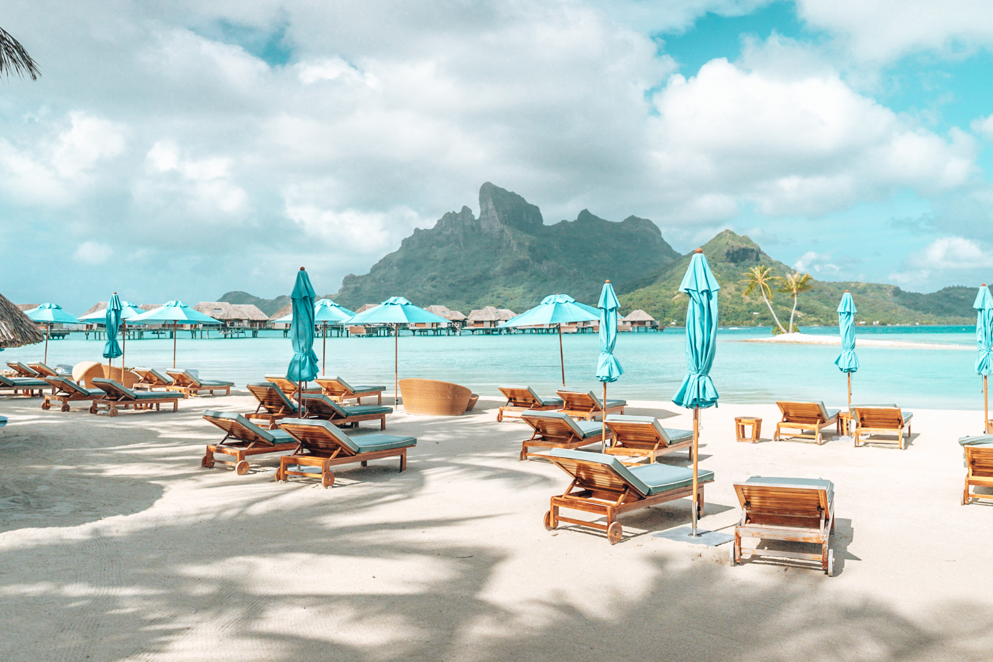 Maren Engh | Fora Travel