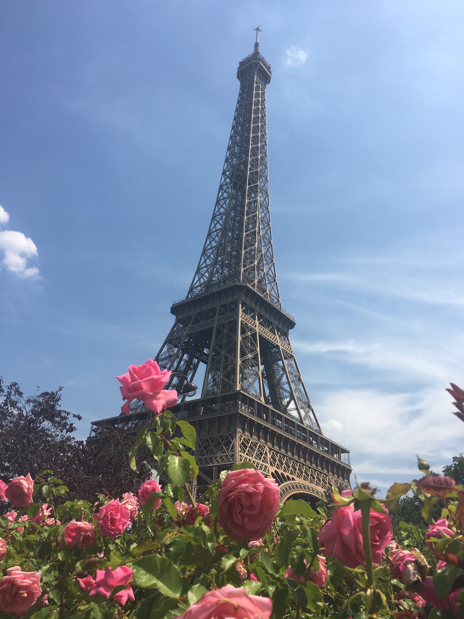 Carolyne Snow | Fora Travel