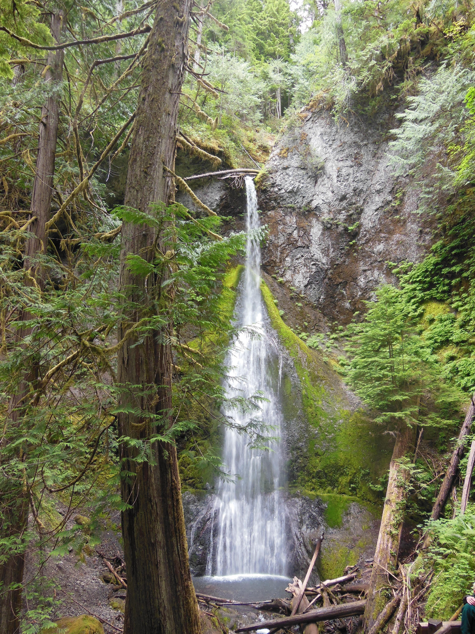 Seattle's Olympic National Park Fun: 3-Day Itinerary