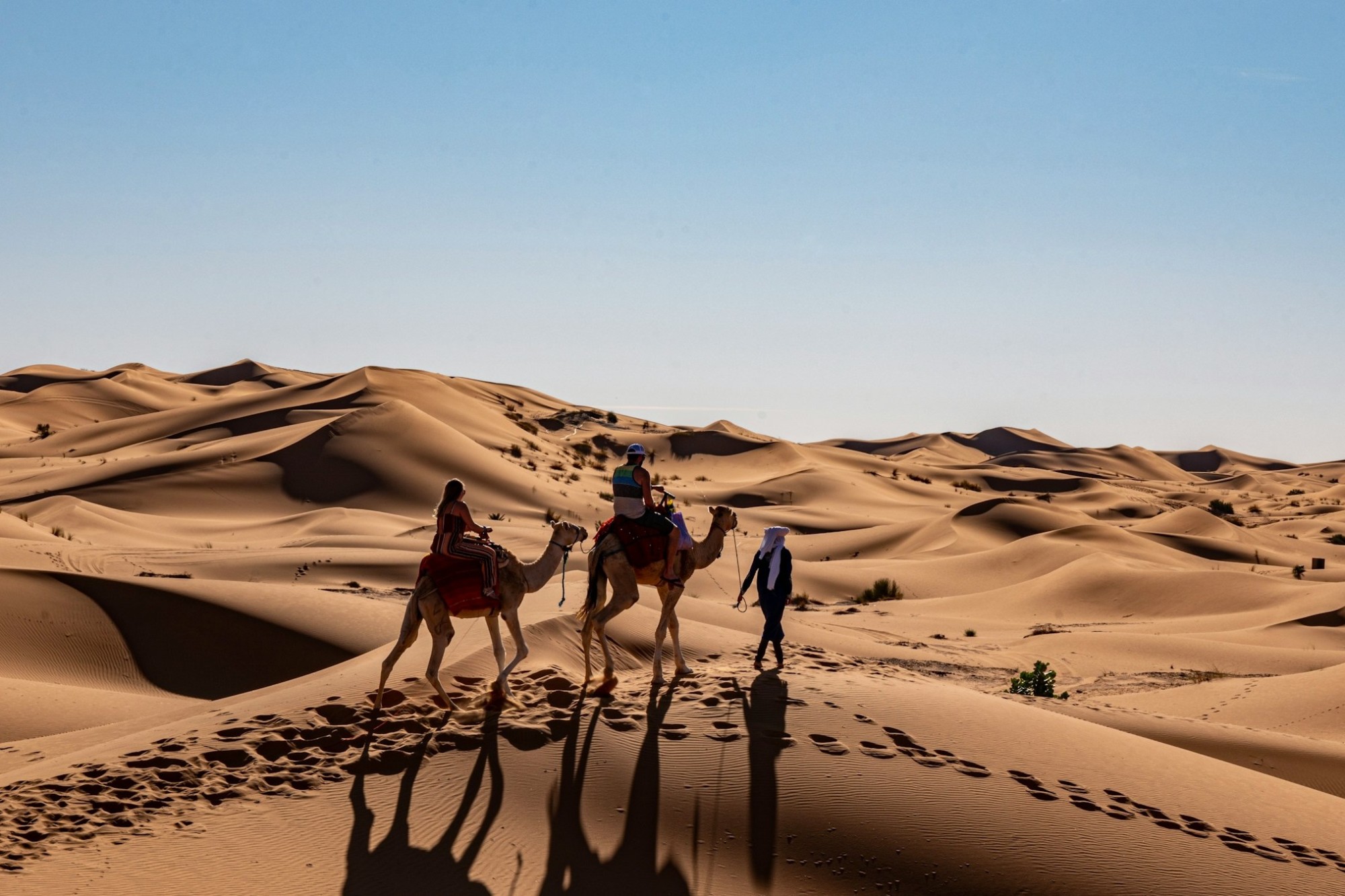 The Best Time to Visit Morocco: An Expert Guide