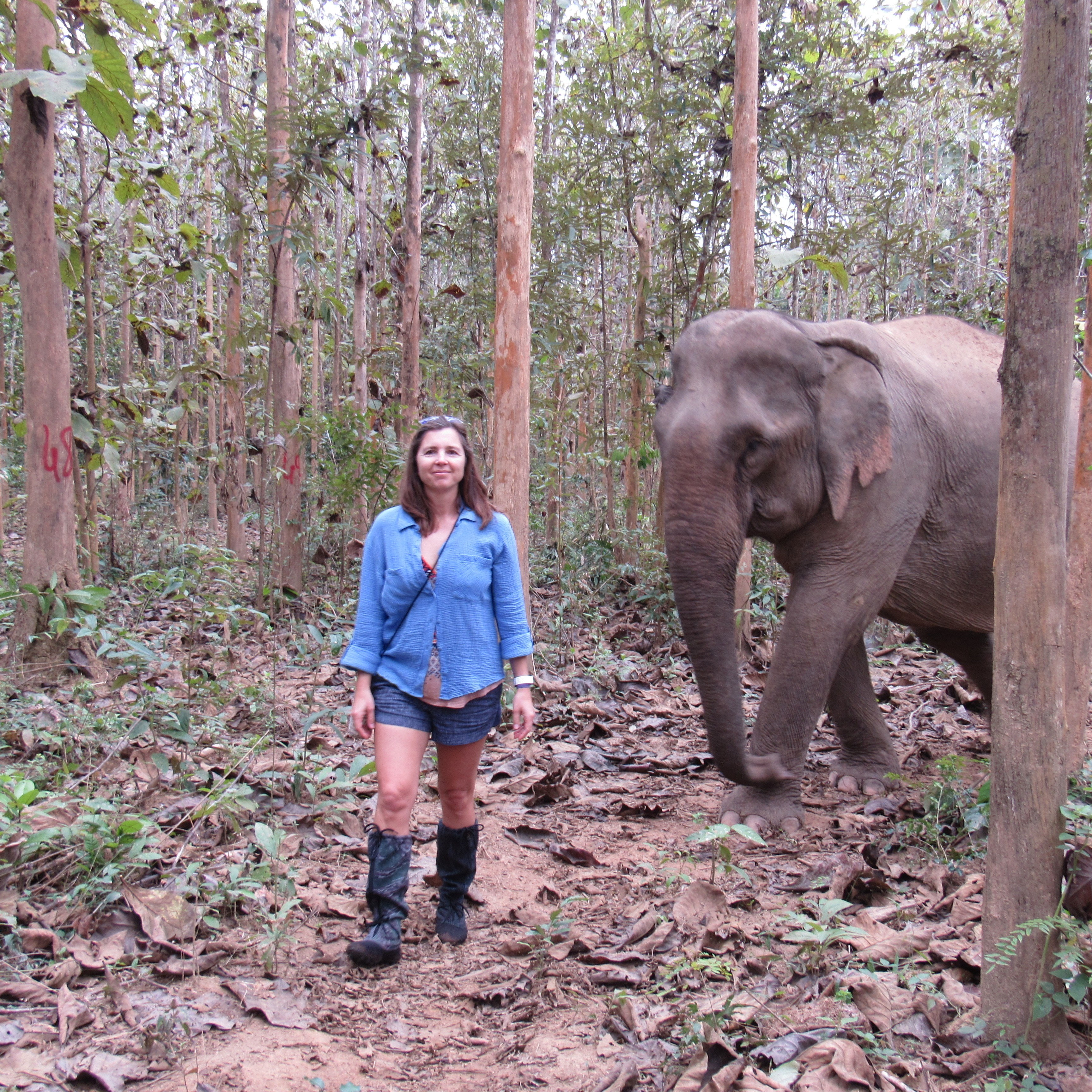 Sherri Swingle | Fora Travel