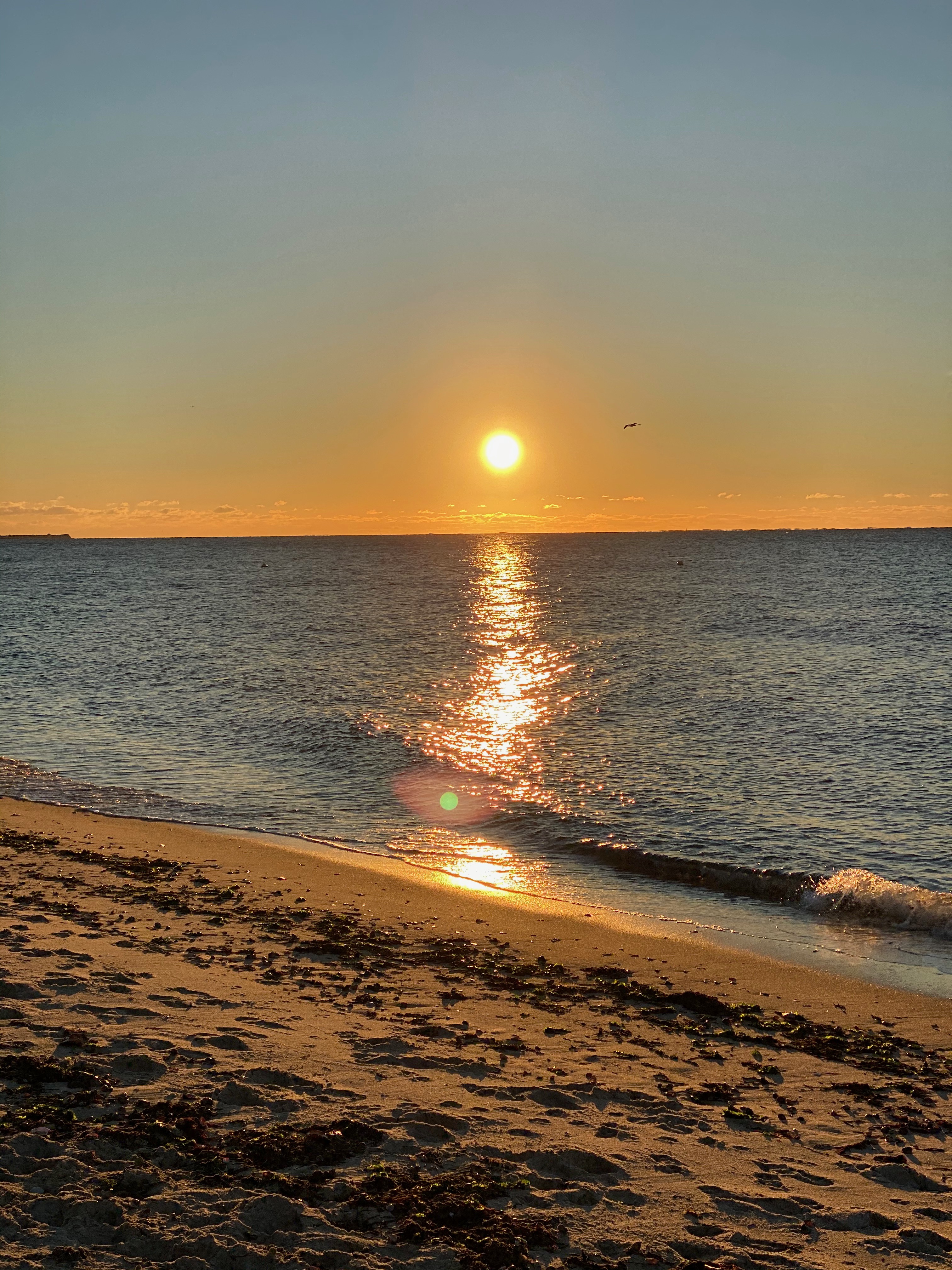 Stephanie Cunningham | Fora Travel