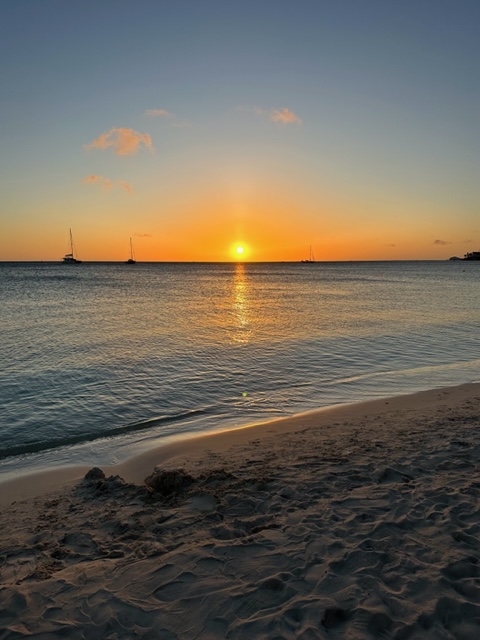 The Ultimate Aruba Travel Guide