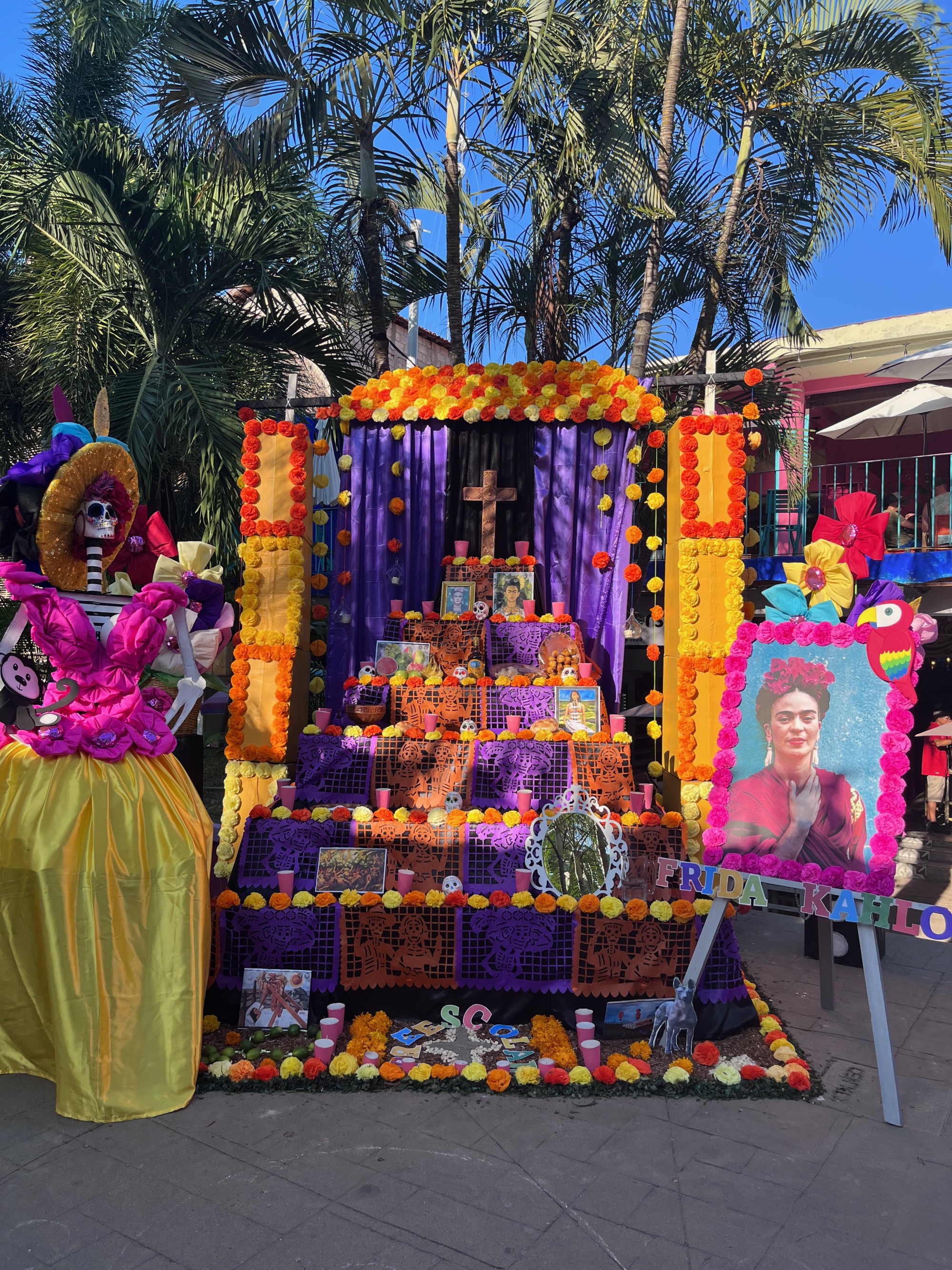 Family Adventures in Sayulita, Punta Mita and Beyond