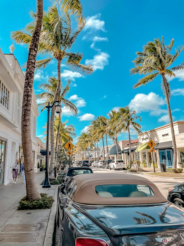 Your Guide to Spring Training in Palm Beach