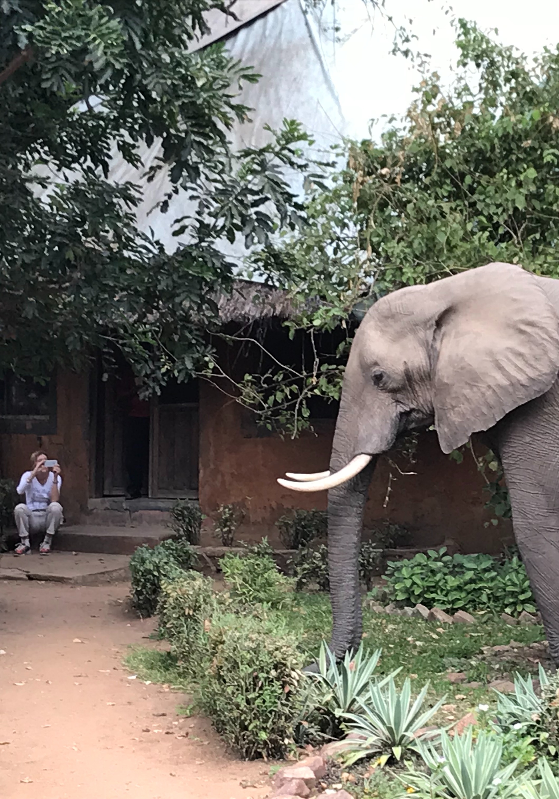 The Heart of Africa: Malawi