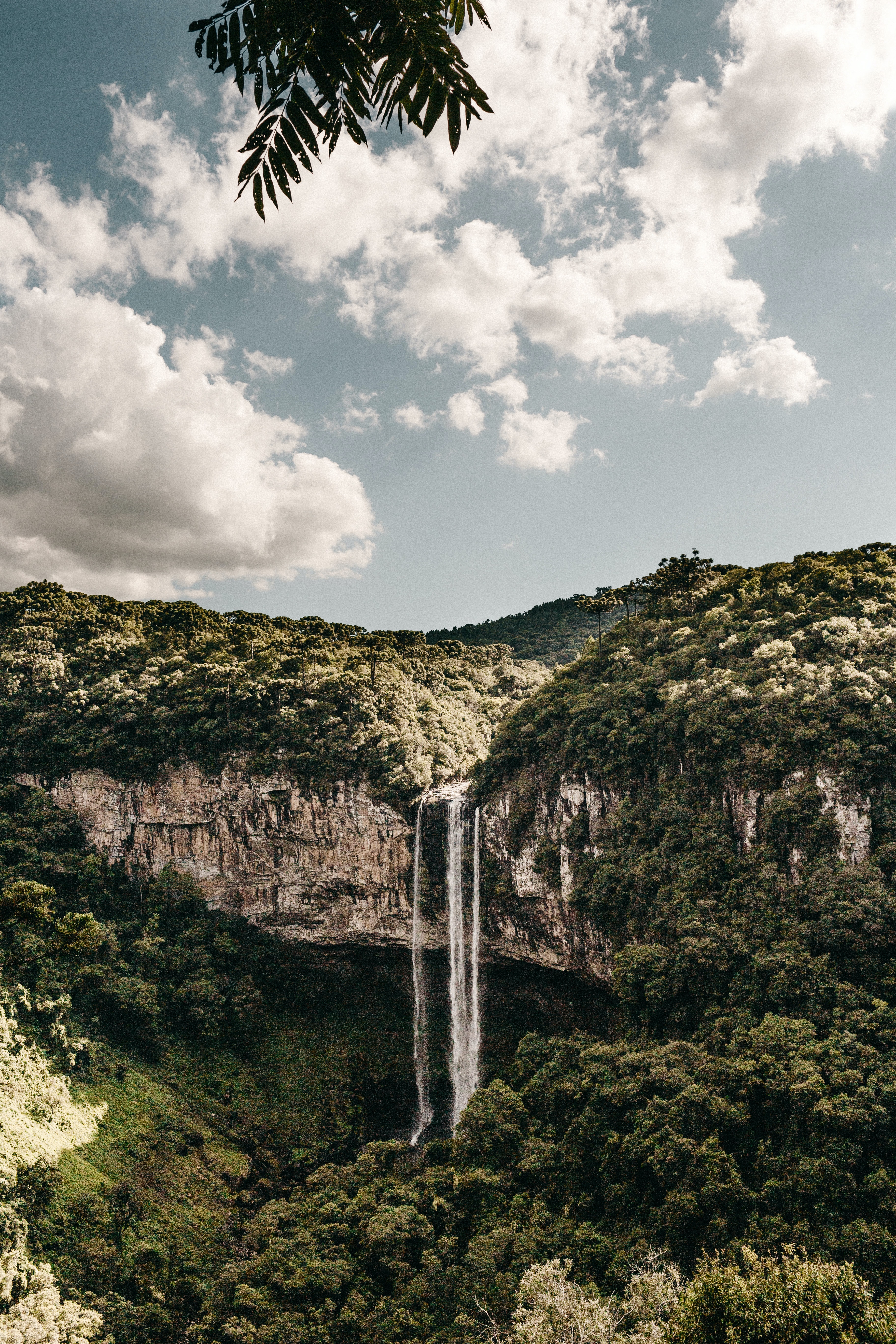 7 Days of Luxury, Food and Nature in Brazil