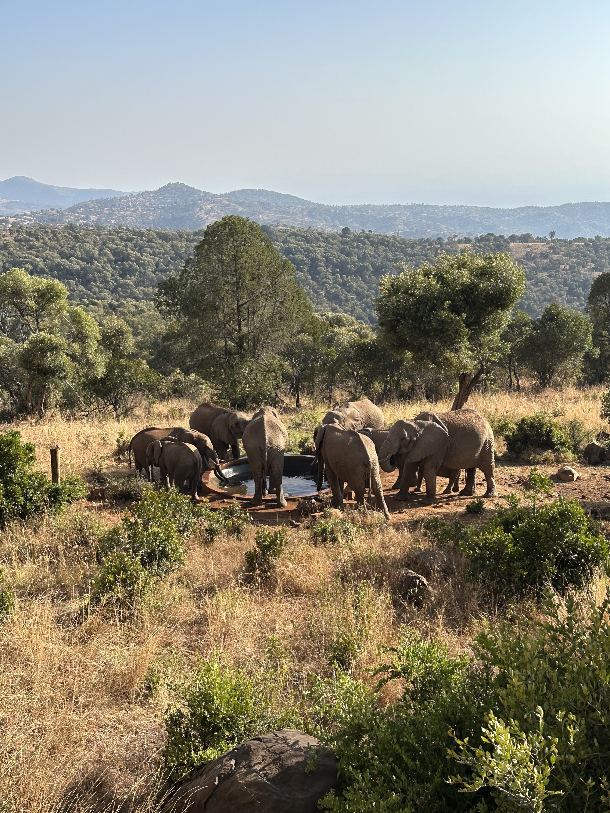 Unforgettable Stay at Kalepo Camp - Samburuland, Kenya