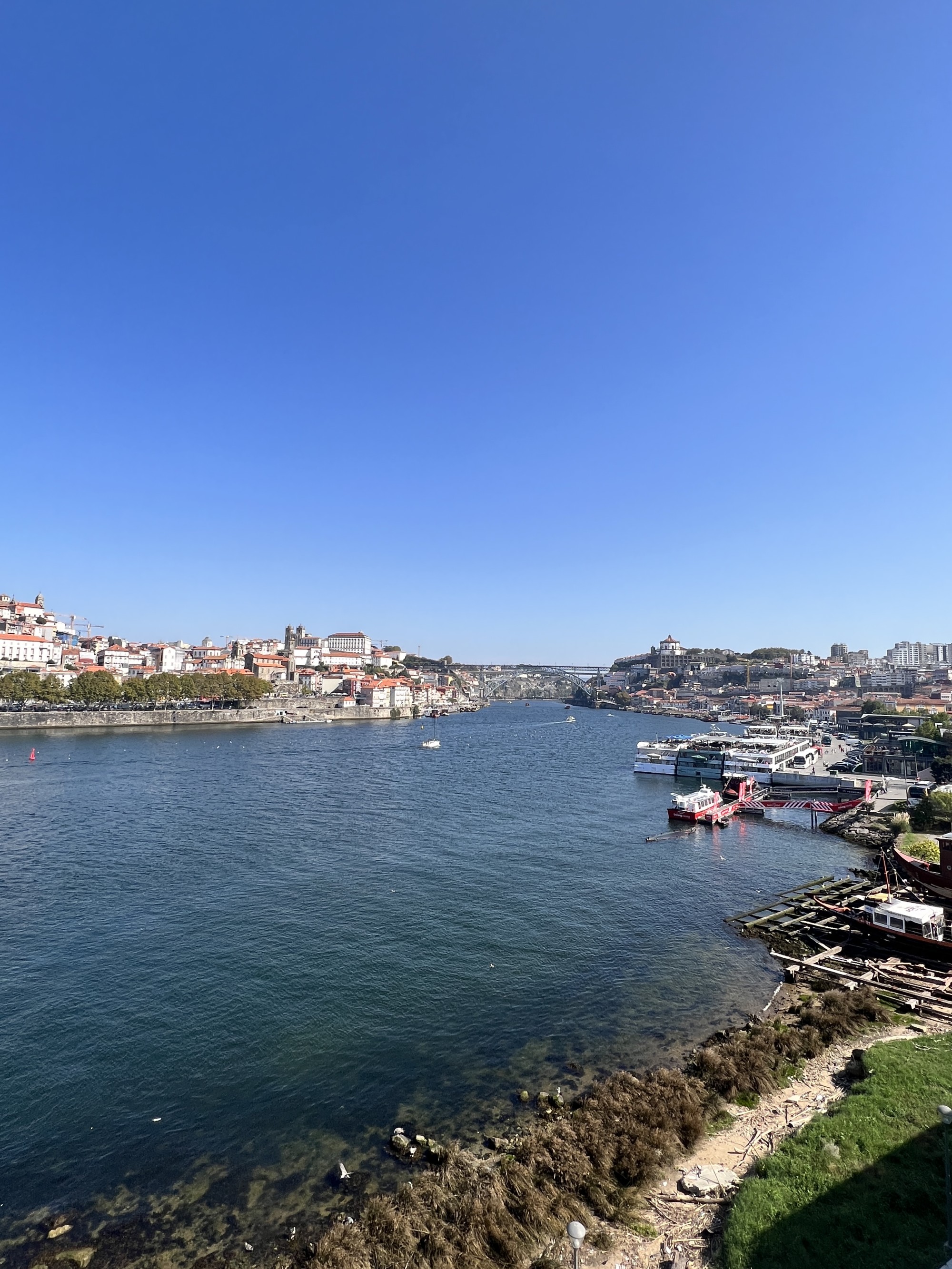 Why I Loved Staying at the Rebello Hotel in Porto, Portugal