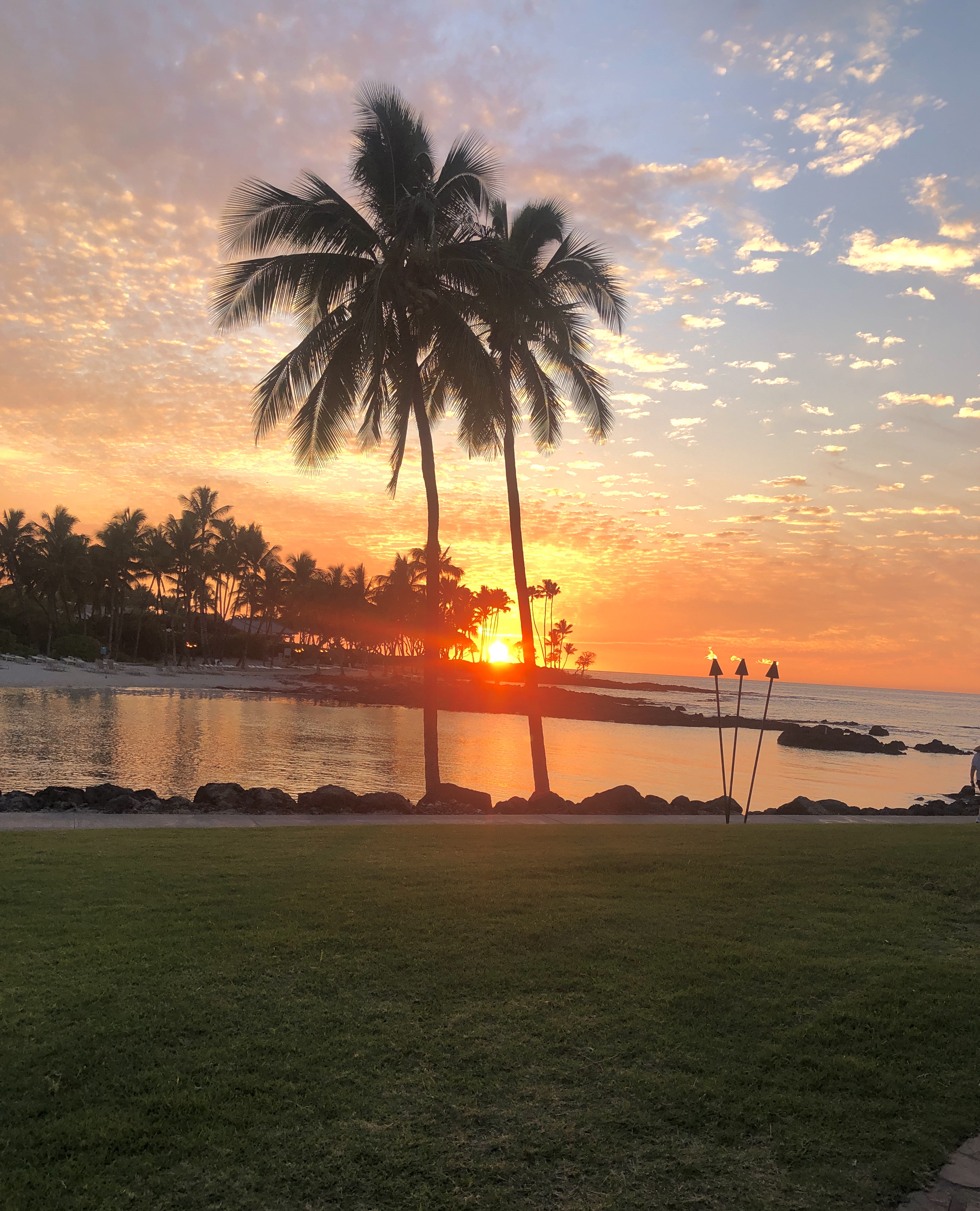 Jennifer Rosenberg | Fora Travel