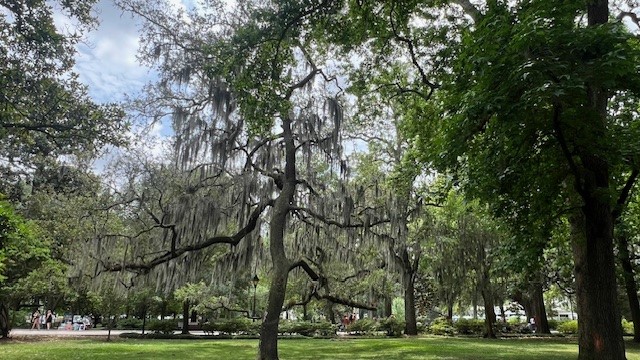 Reflections on Savannah & Charleston: History, Hospitality & Hints of ...