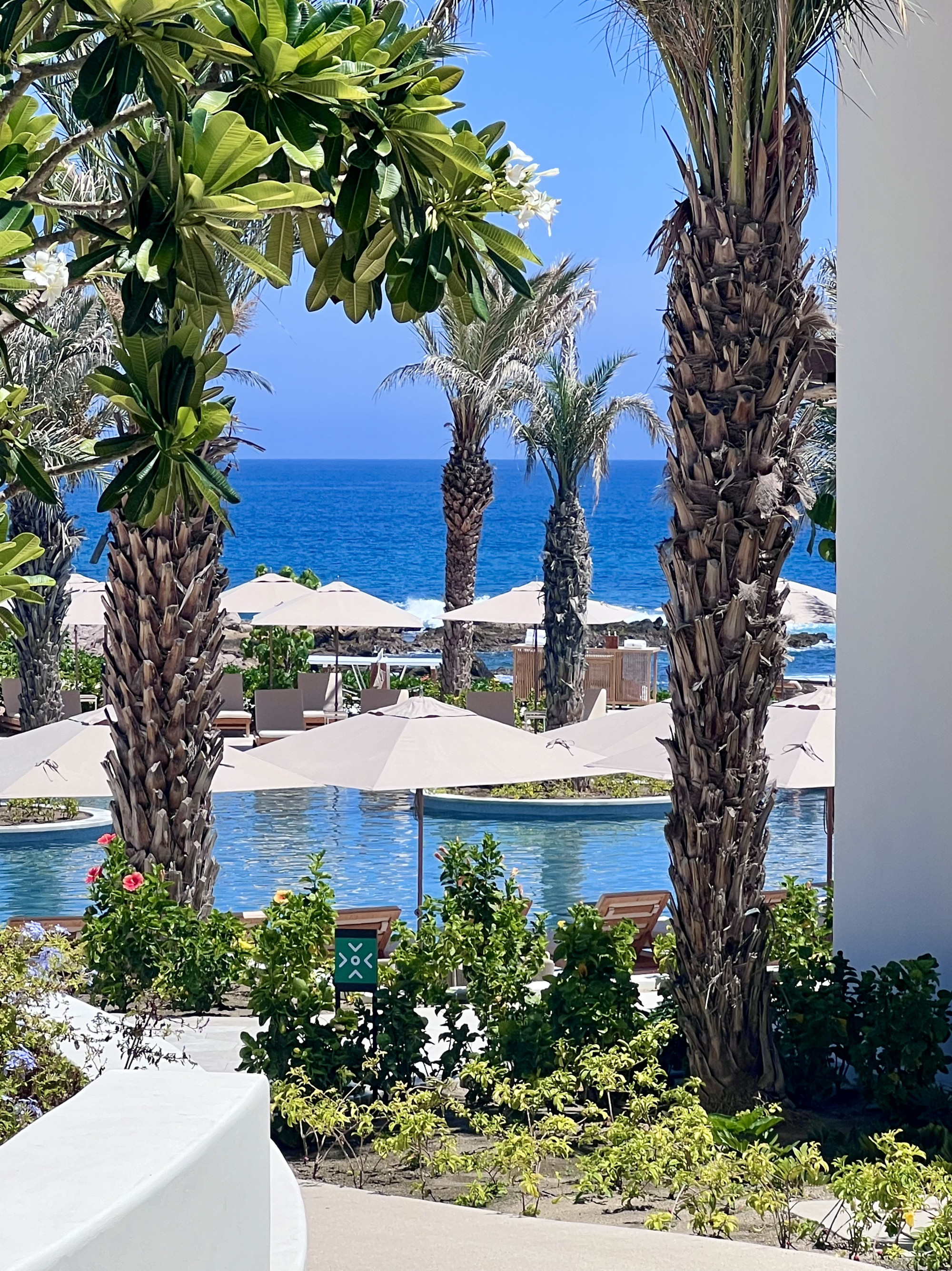 Site Inspection at Four Seasons Resort and Residences Cabo San Lucas at ...