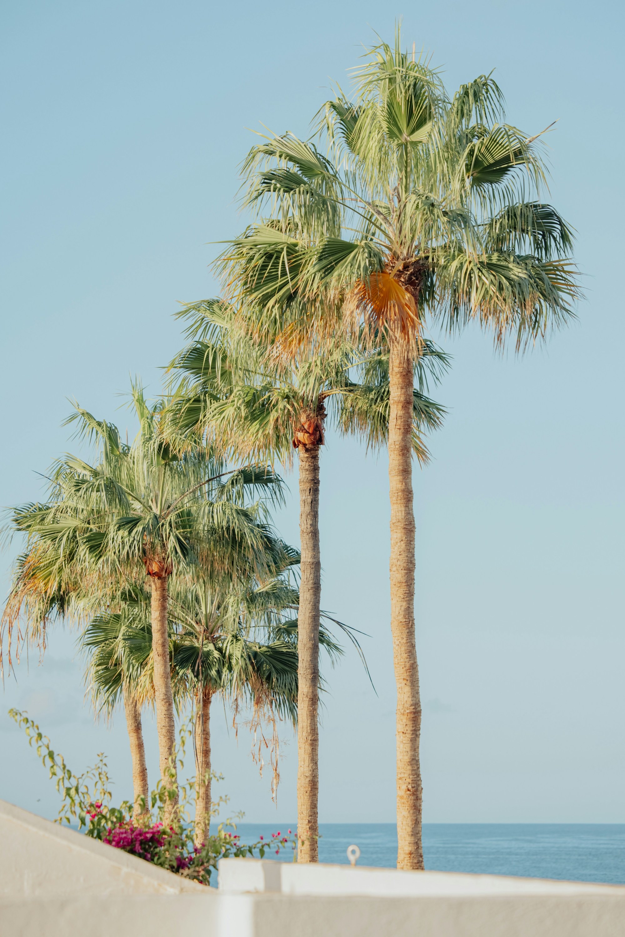 A Local's Guide to Carlsbad, CA: The Beach Town You Didn't Know You ...