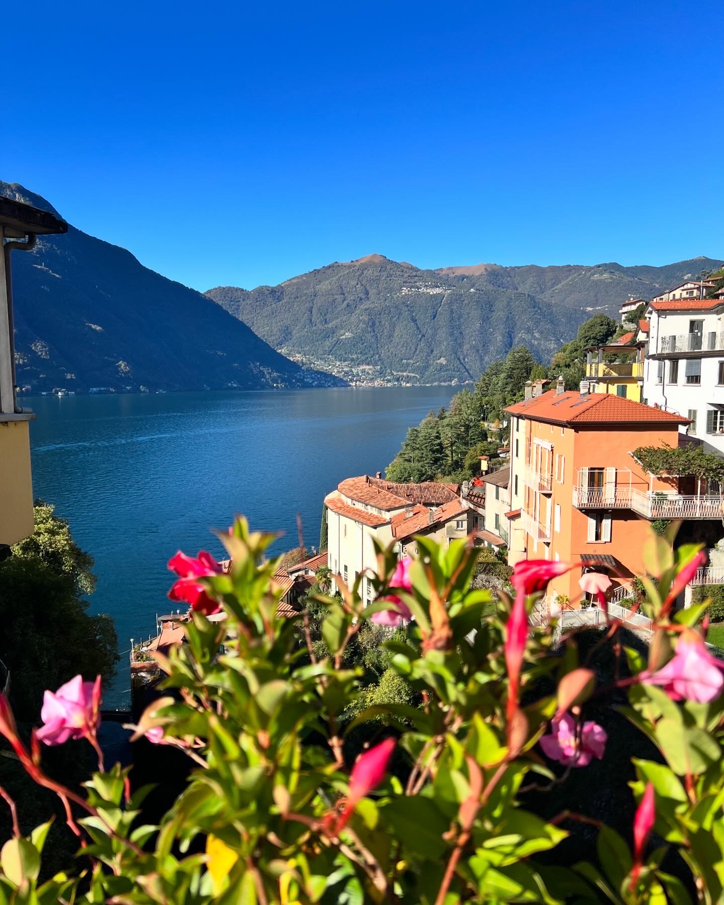 Billy Dunham | Fora Travel