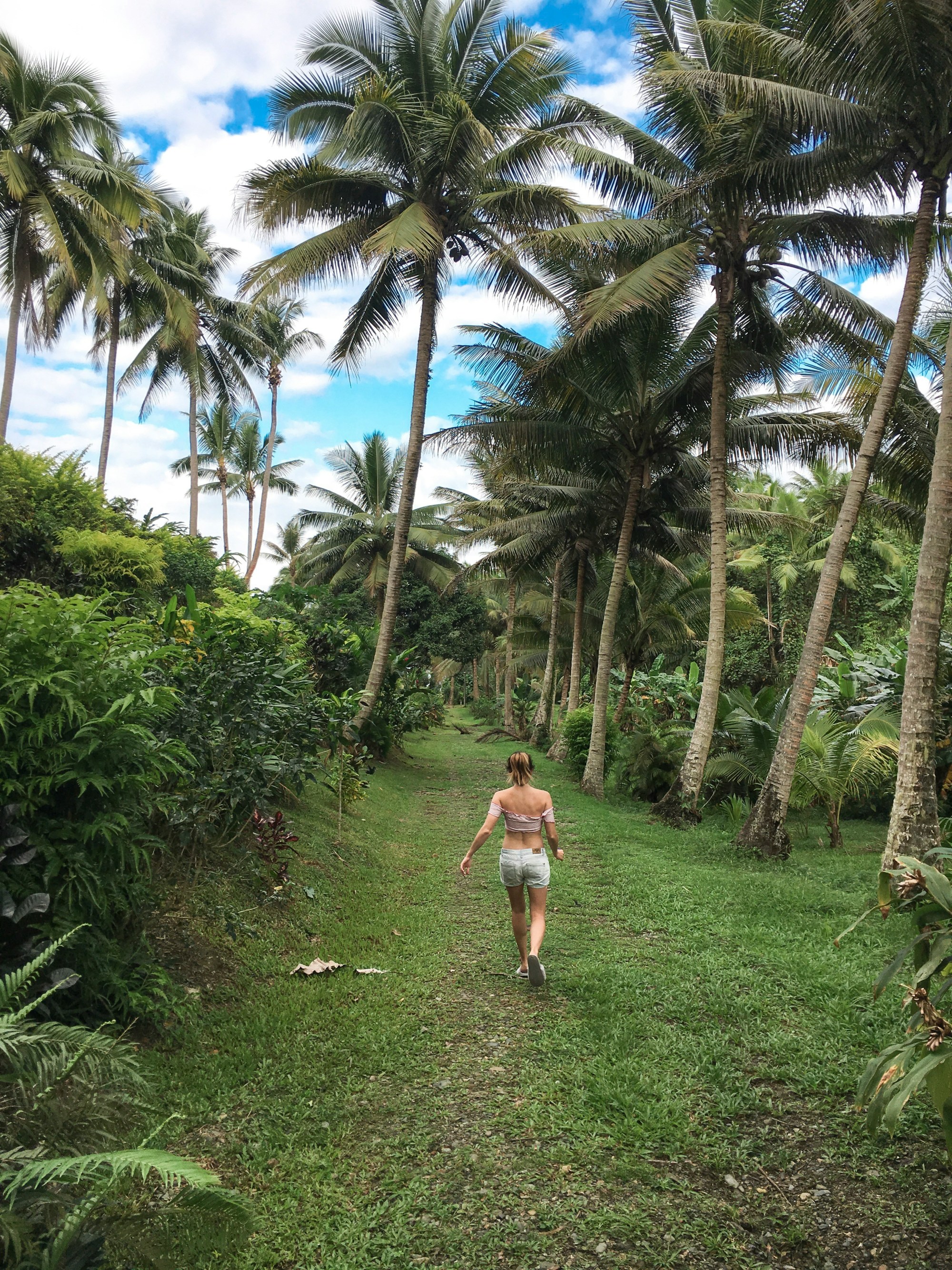10 Days in Viti Levu: Unwind, Explore & Immerse in Fijian Culture