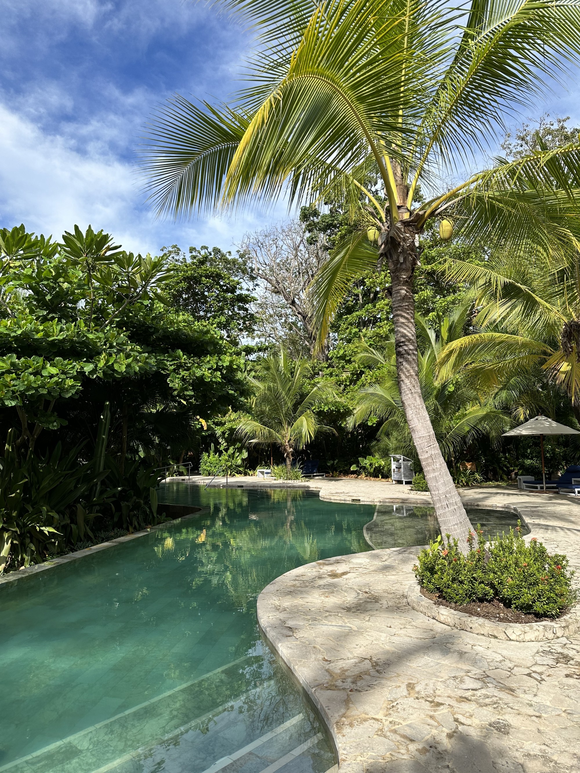 Katie Gooding | Fora Travel