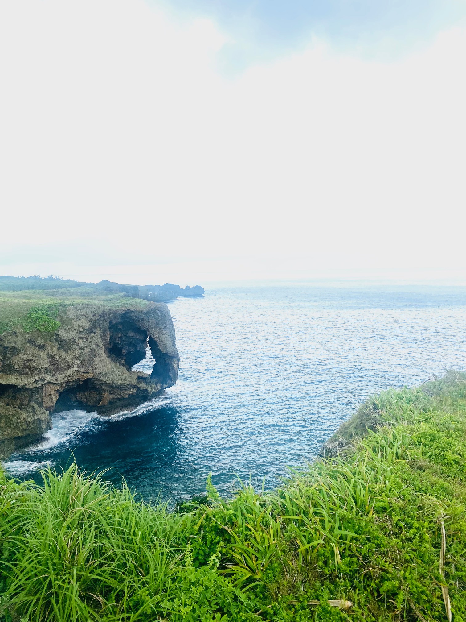 Cindy Rhee | Fora Travel