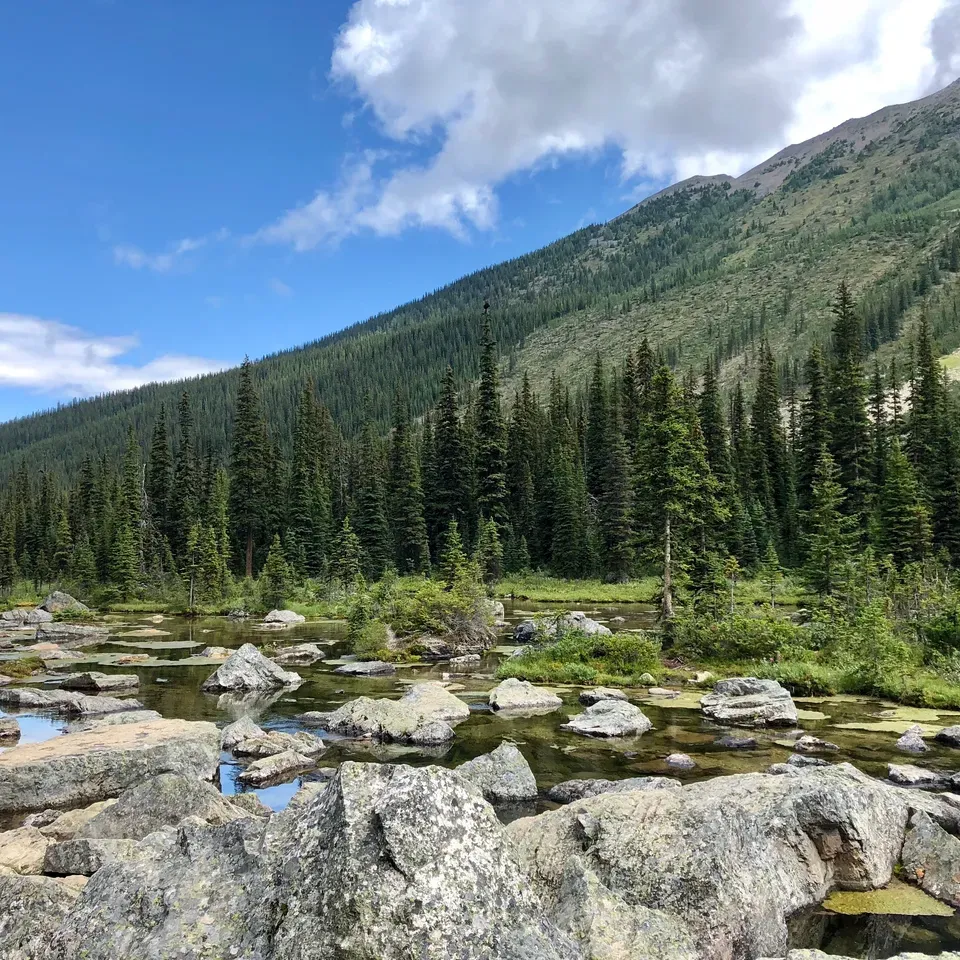 A Scenic Summer Getaway to Banff