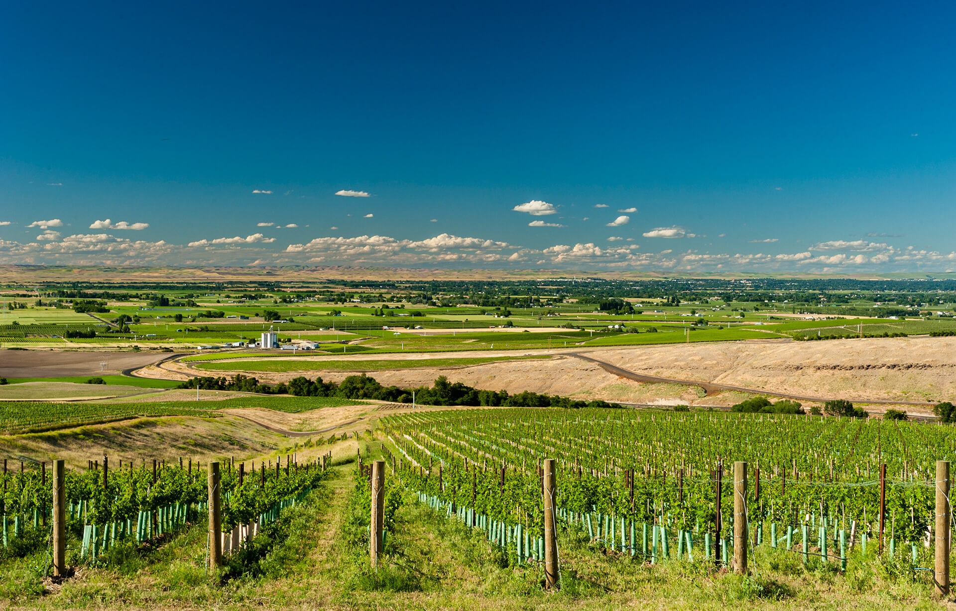 Walla Walla Valley AVA | Walla Walla Valley Wine Regions | Wine Folly