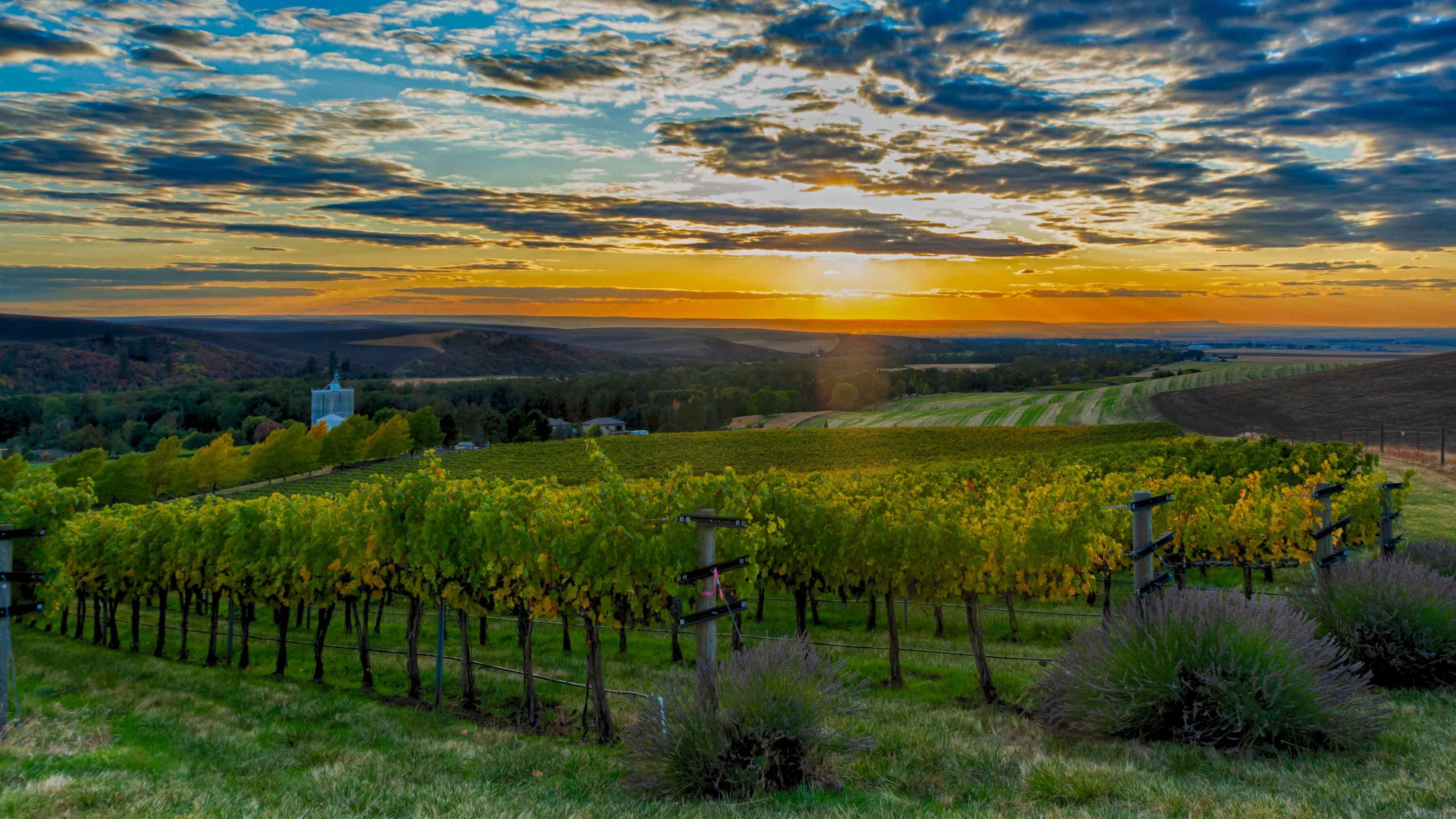 Explore Walla Walla Region Overview | Walla Walla Valley Region Guide