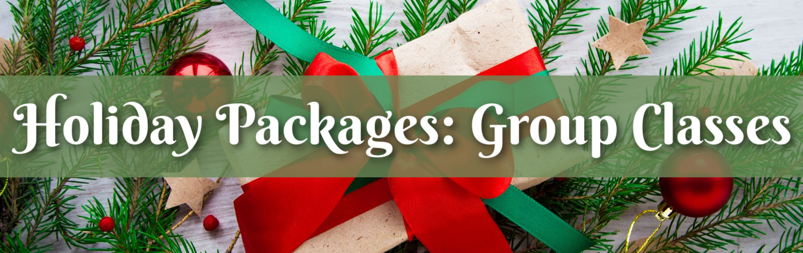 The Canine Coach | Holiday Packages