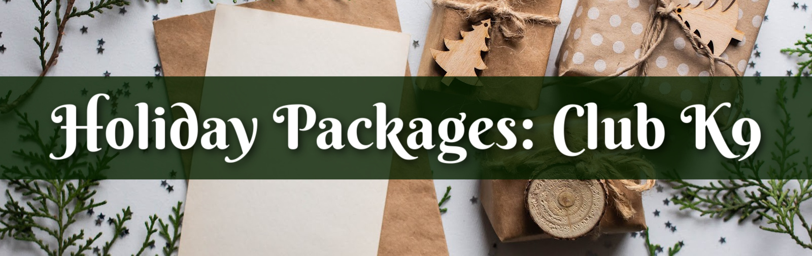 The Canine Coach | Holiday Packages