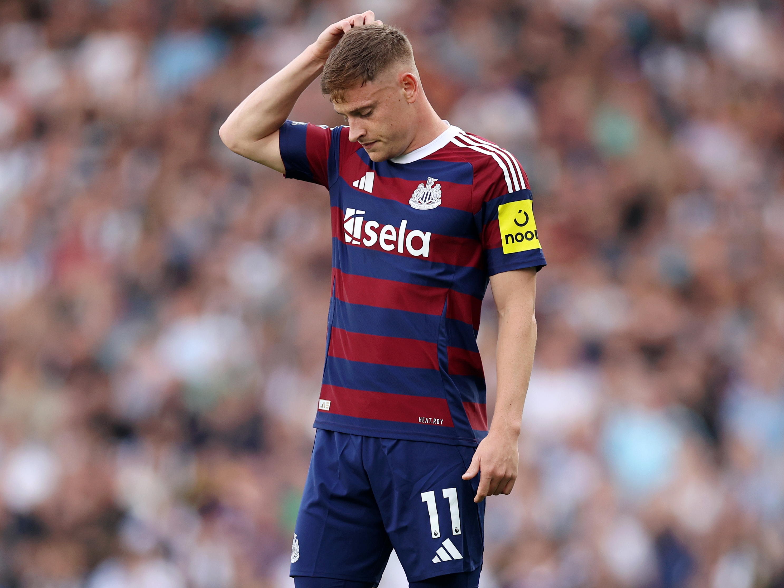 Introducing Travis Hernes - Newcastle United