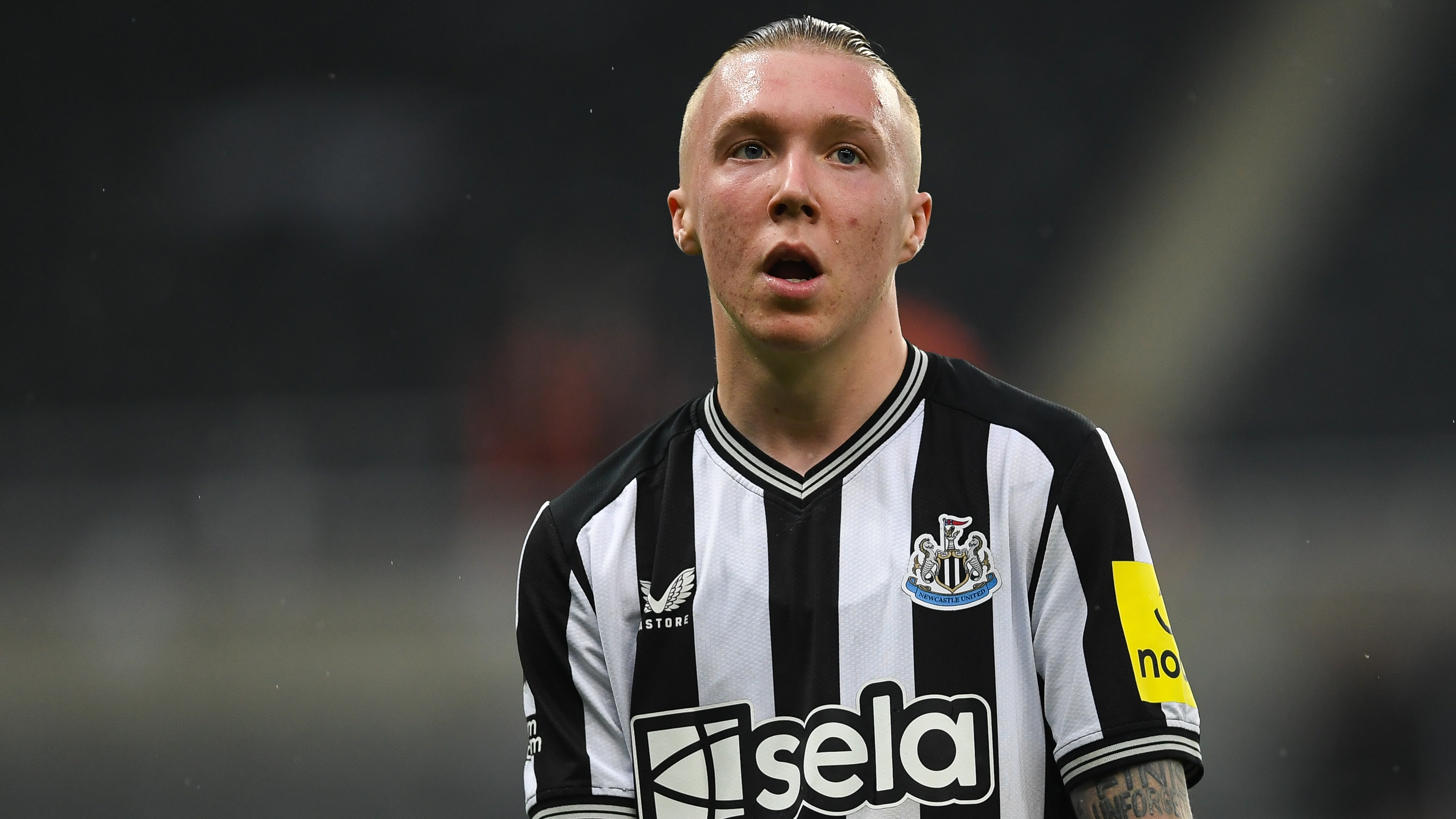 Harrison hoping for Hong Kong heroics - Newcastle United