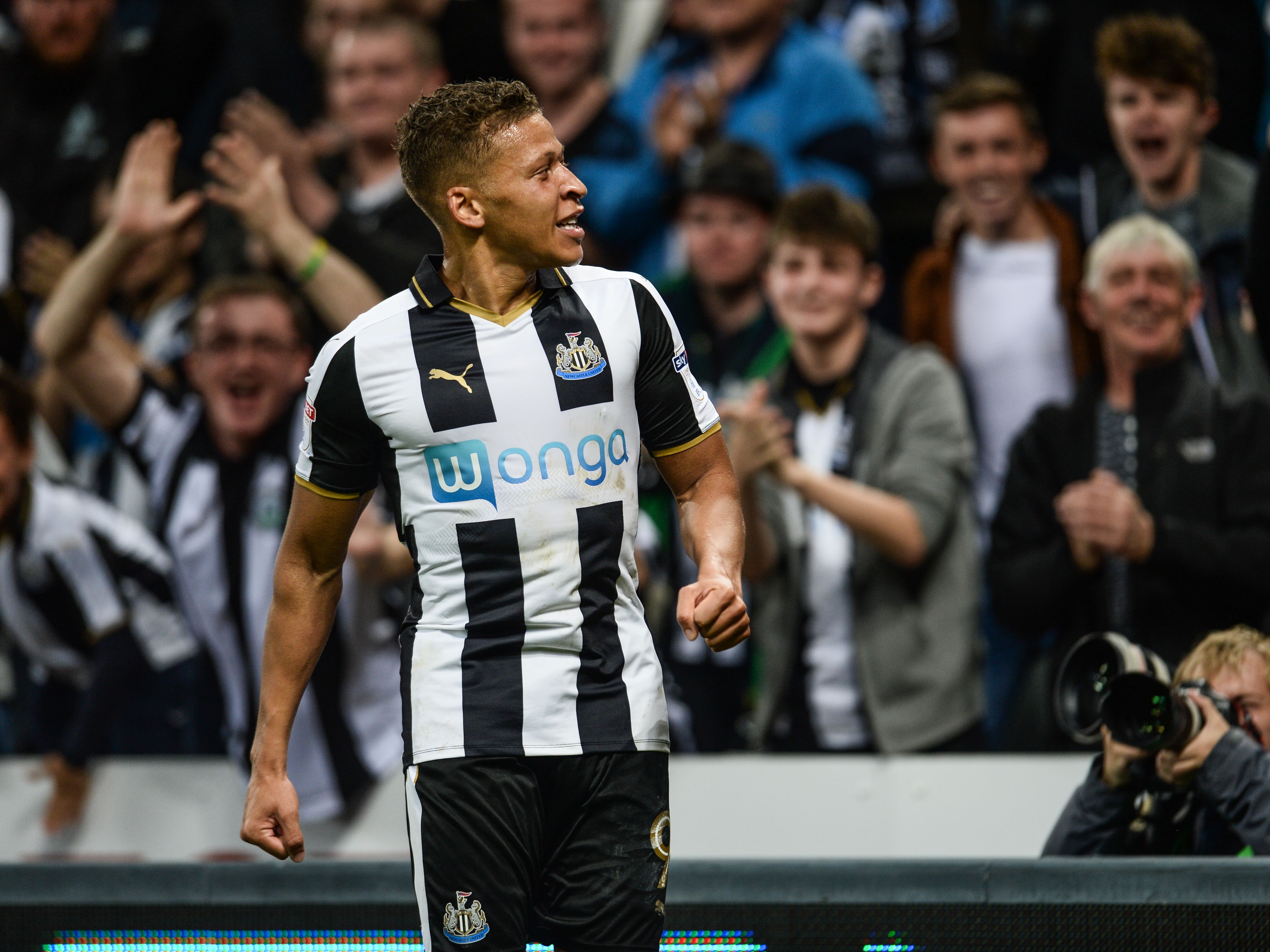 Gayle confirms retirement plans - Newcastle United