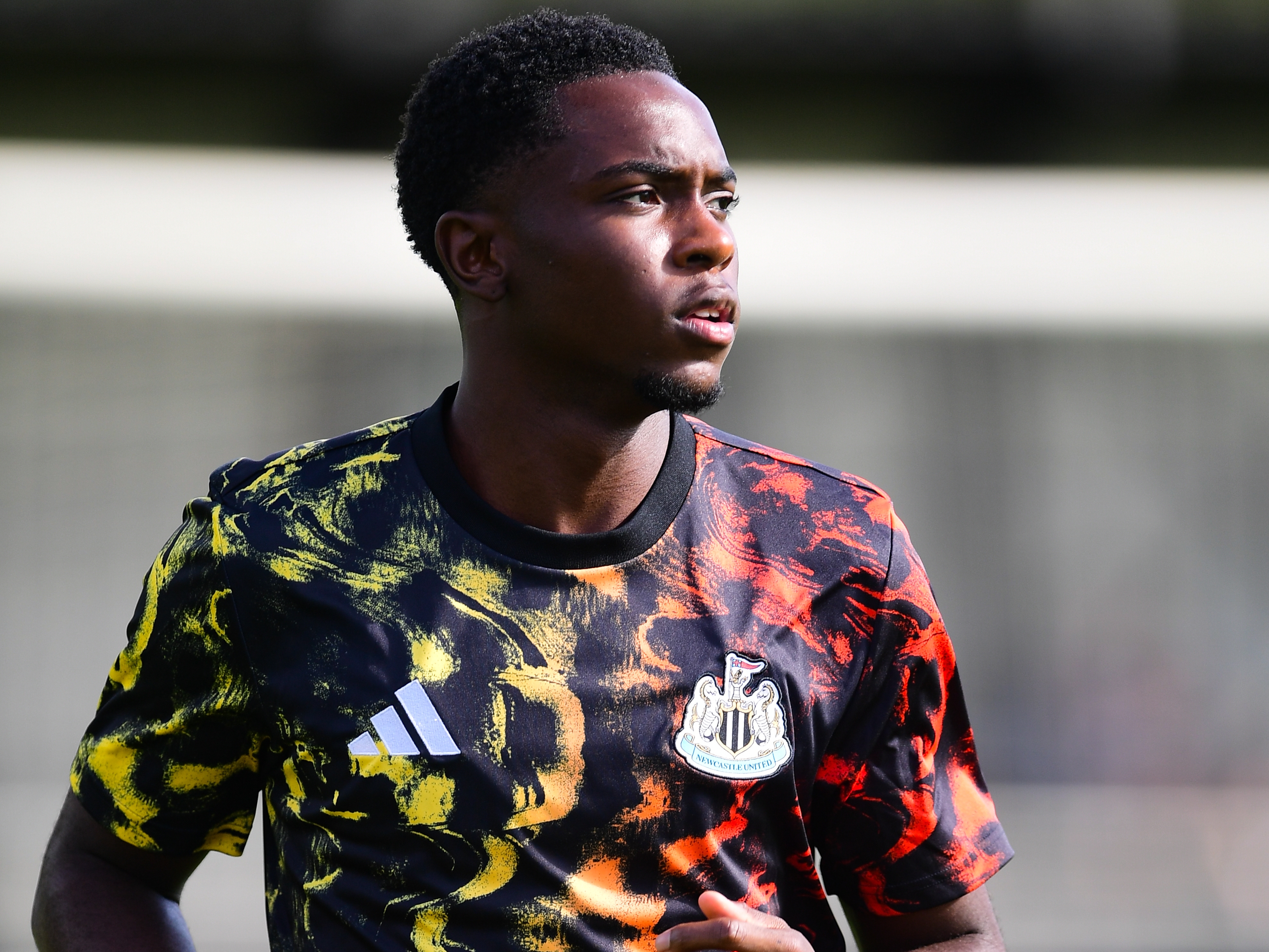 Highlights - Newcastle United