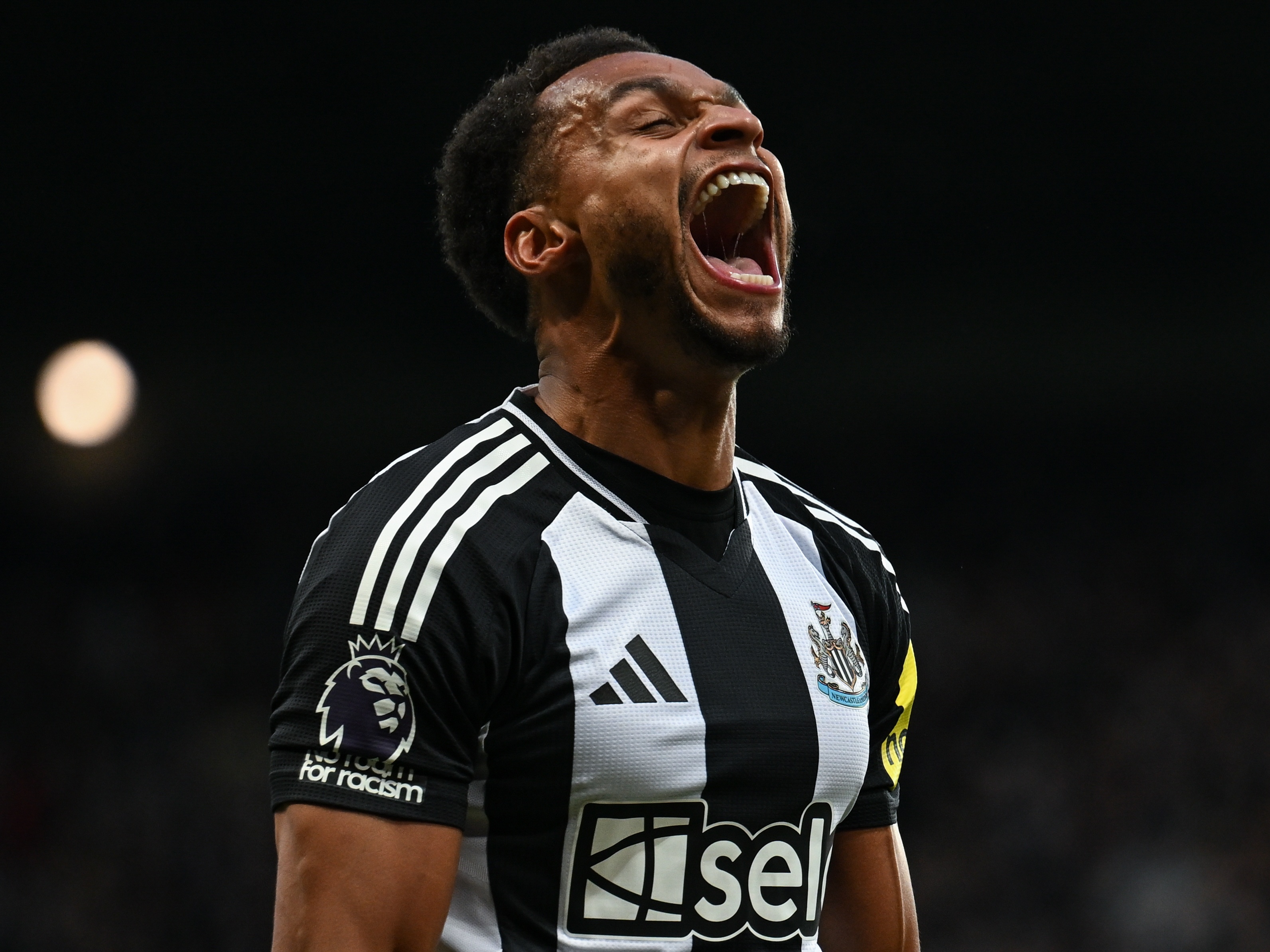 Howay 5-0: Big win over Palace in pictures - Newcastle United