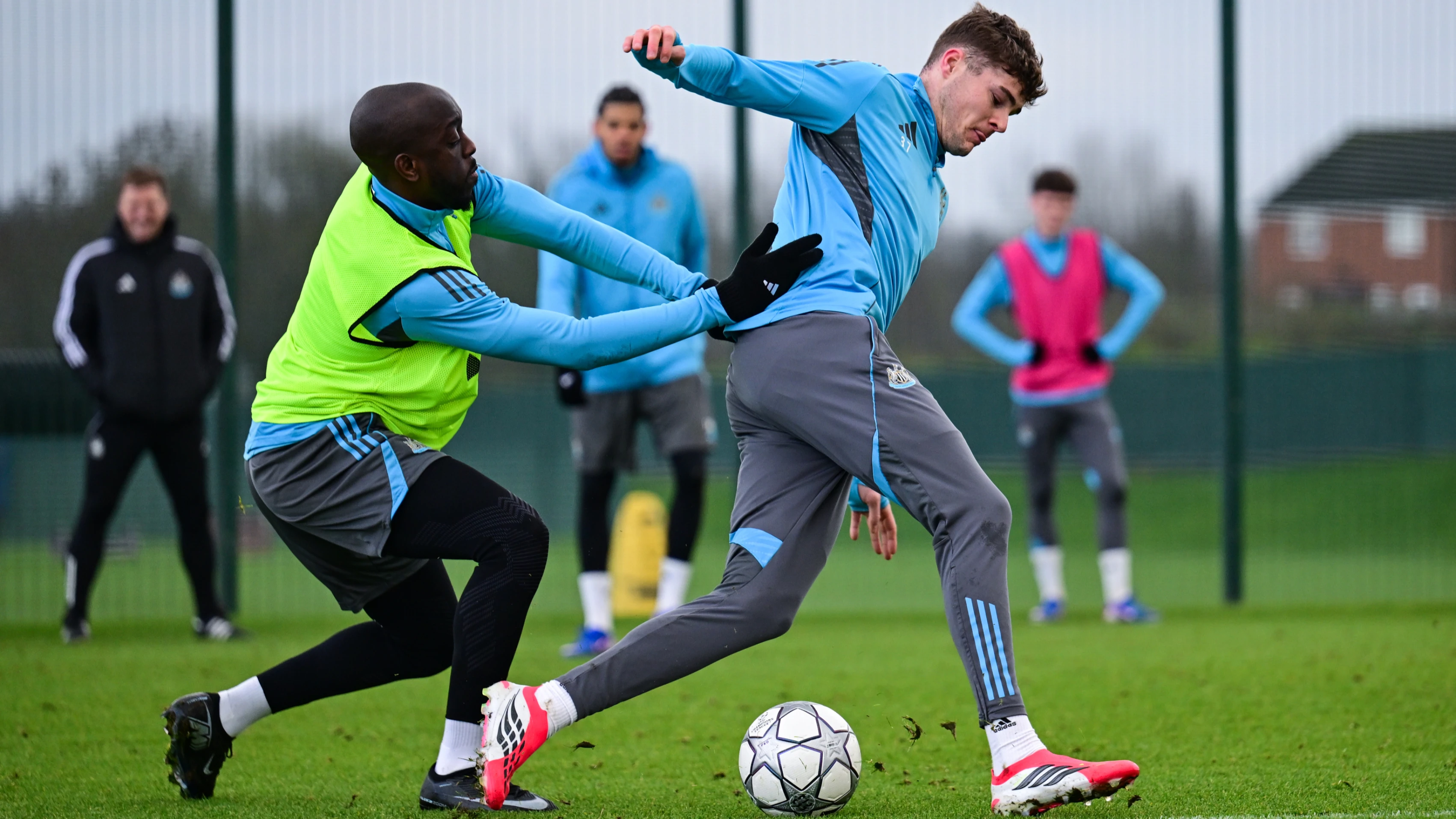 Newcastle United - Home