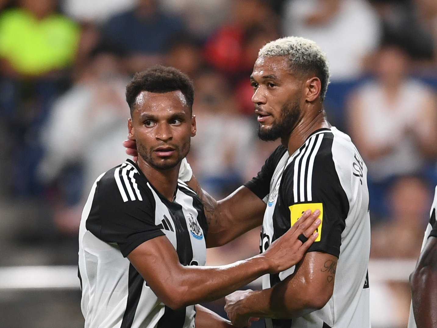 Jacob Murphy - Newcastle United