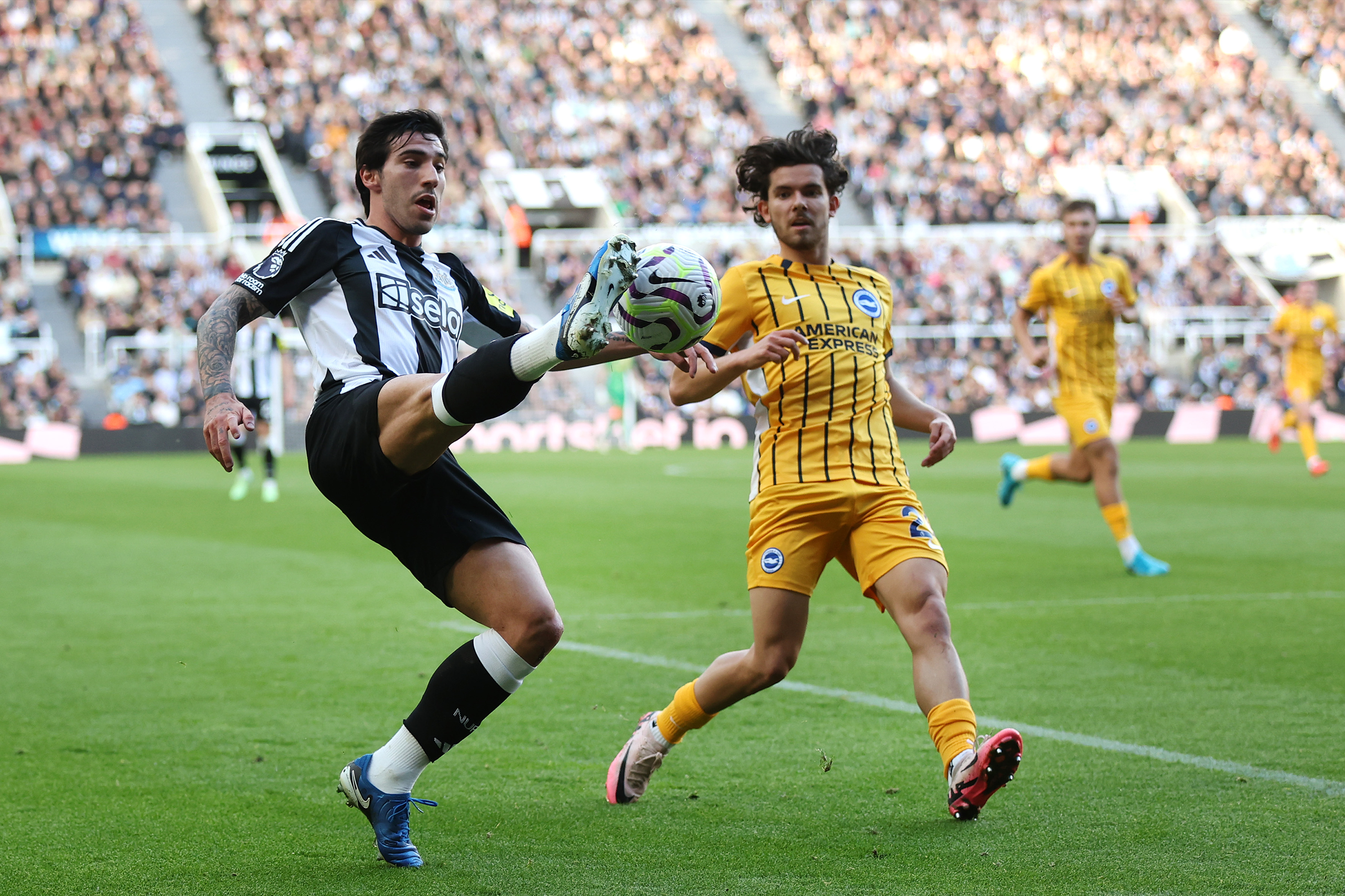 Introducing Sean Neave - the teenage forward in the squad for Monday ...