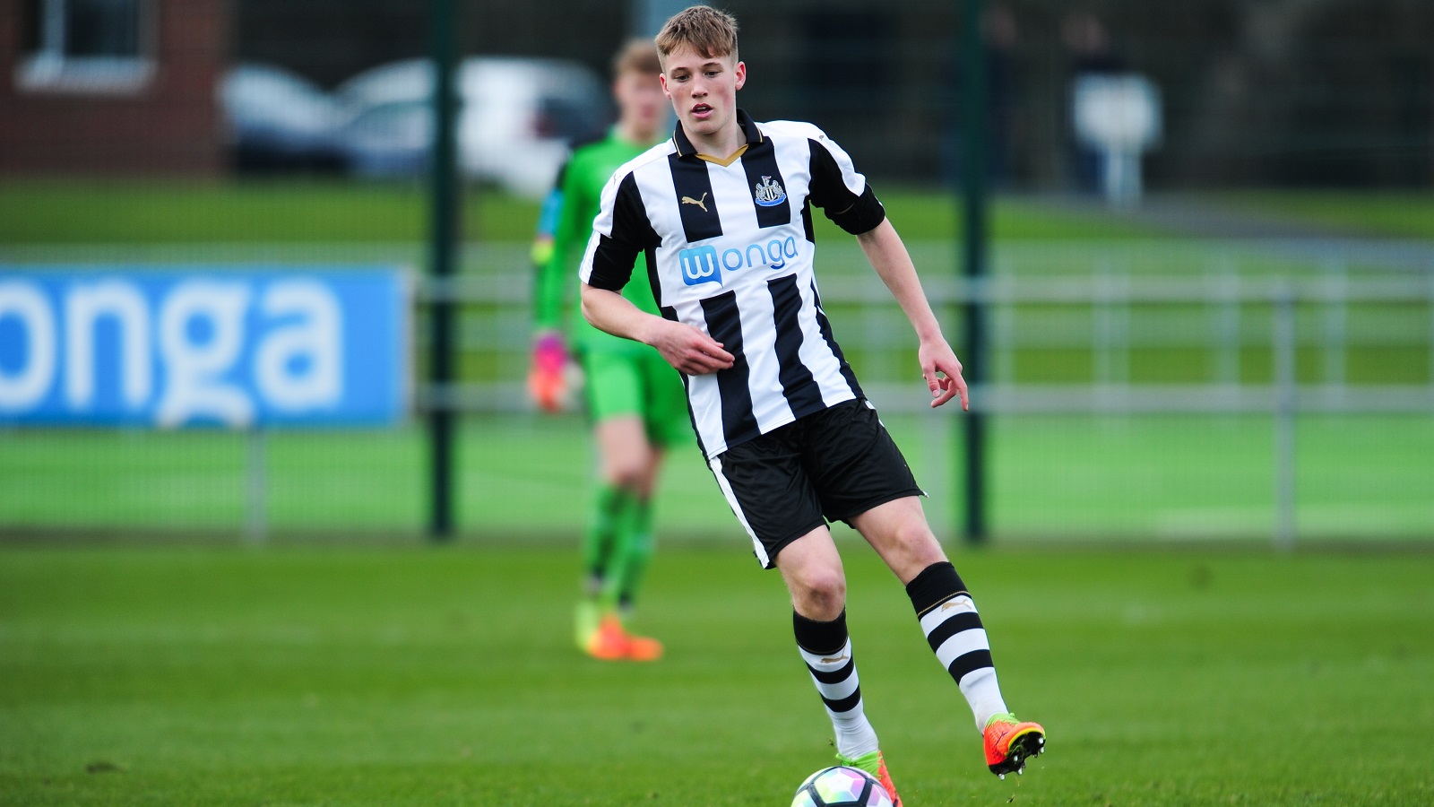 Gibson joins Everton - Newcastle United