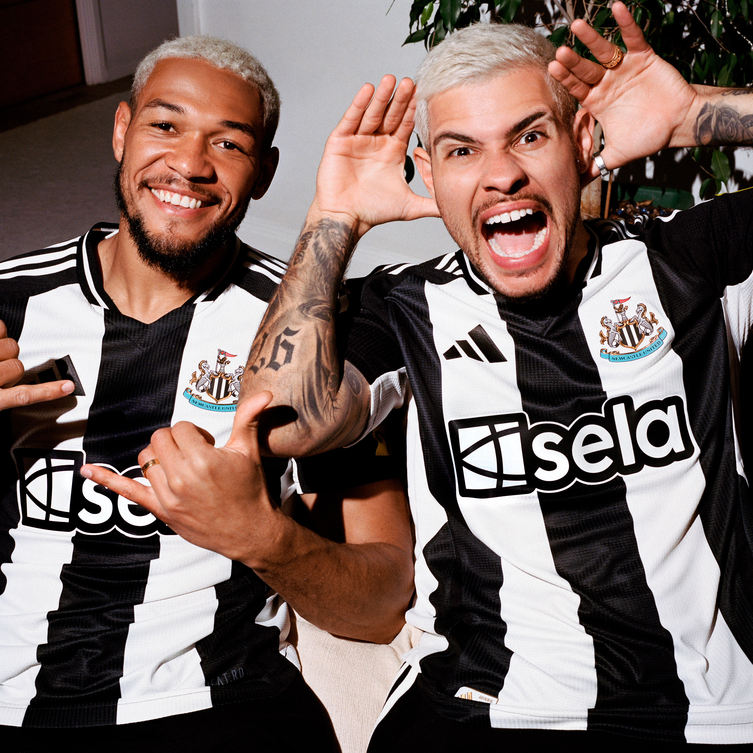 Newcastle United - Home