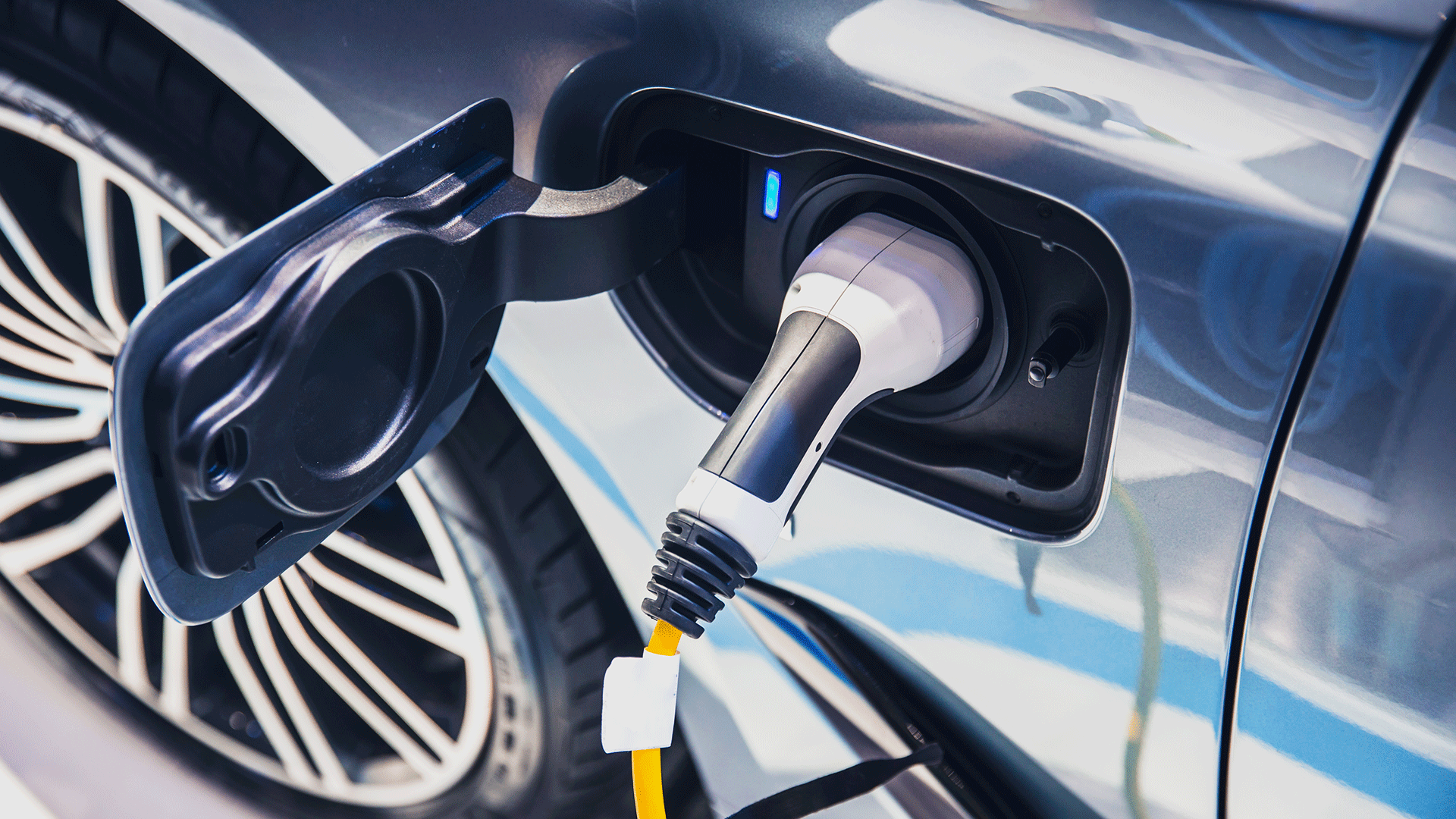 EV Fleet Management Simplified for Businesses | Element Fleet