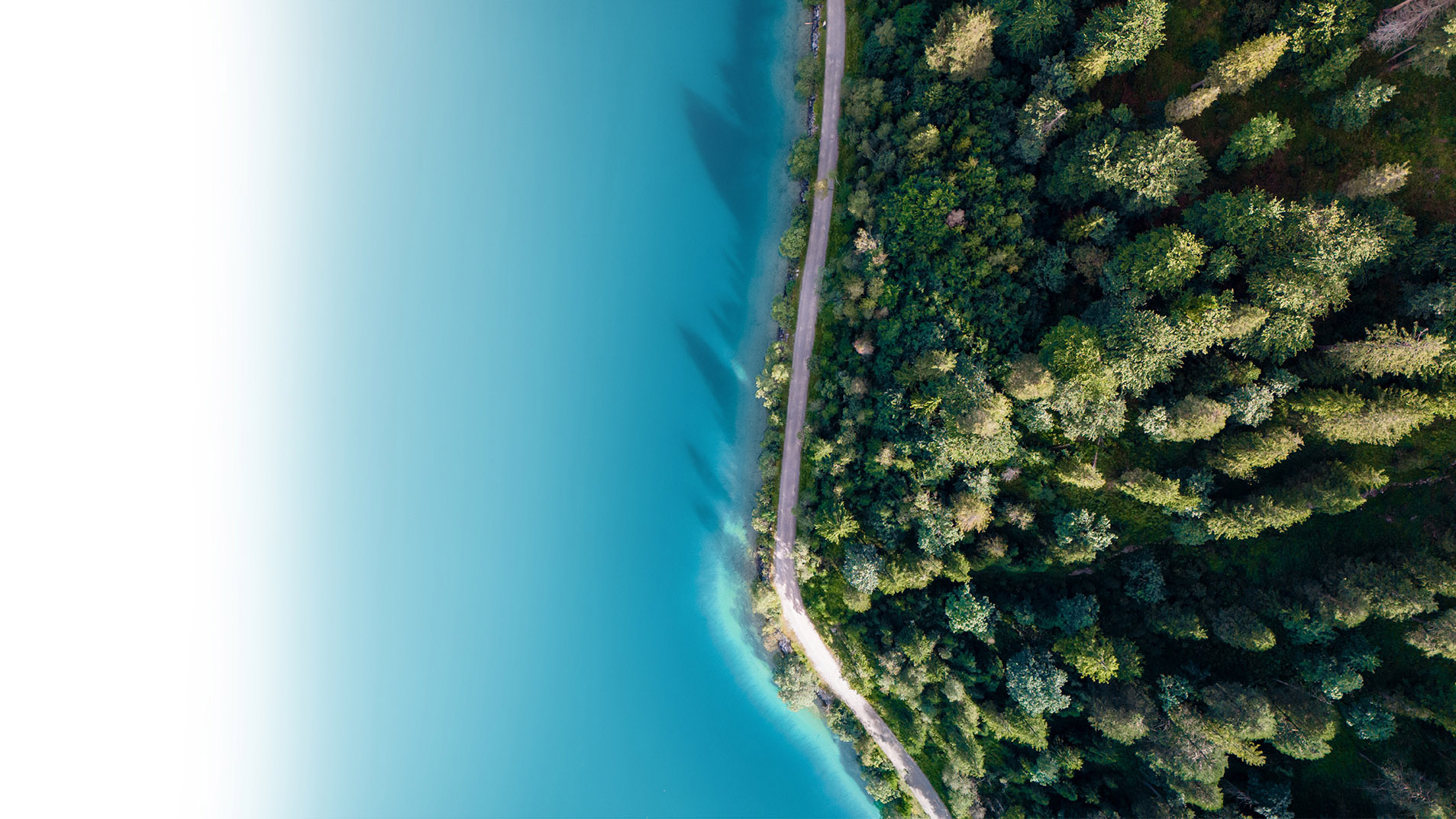 Xcelerate Terms of Use | Element Fleet