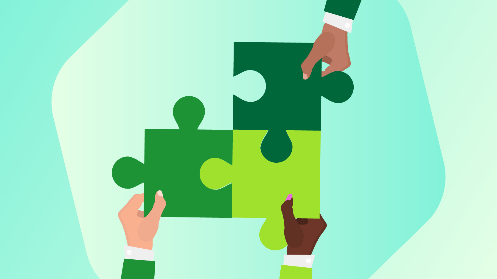 Better Together: How Three BambooHR® Add-ons Work Best When Combined ...