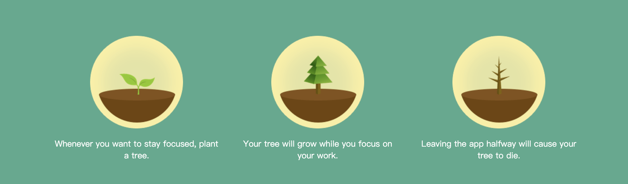 Forest App: Top Features, Pricing & User Reviews