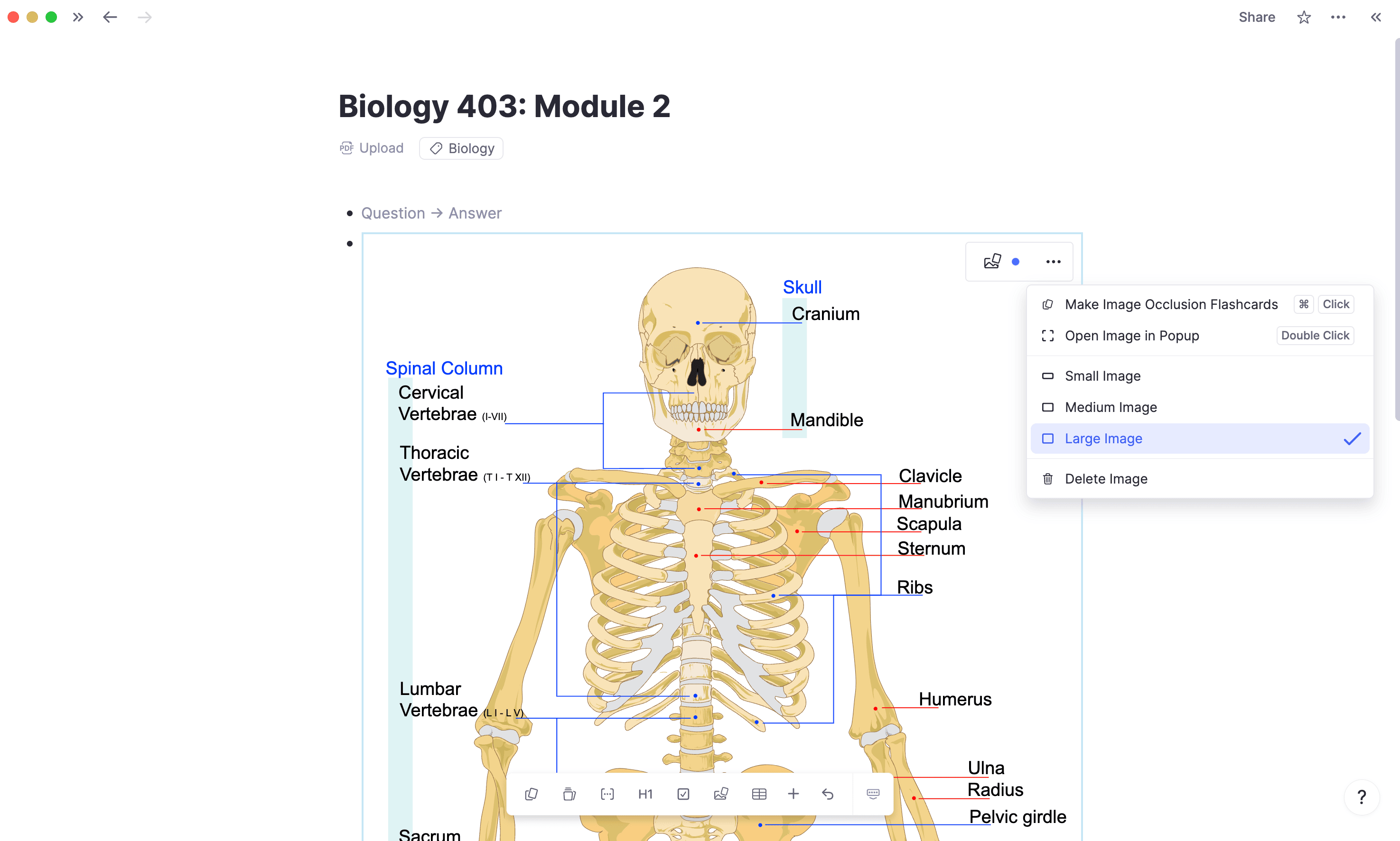 We Tested RemNote for Students: Here's Our Opinion (2025)