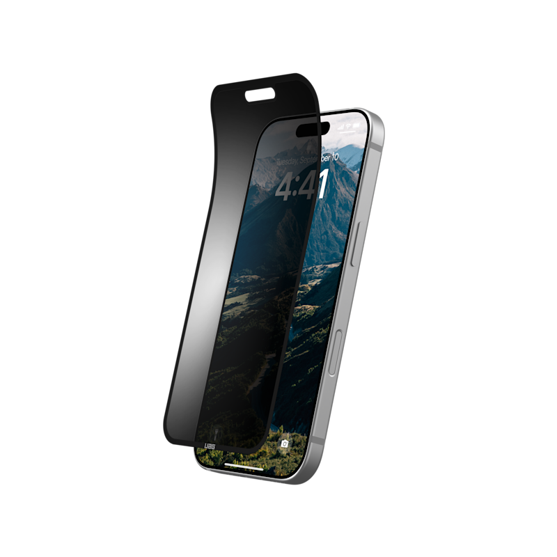 Removable Privacy Screen