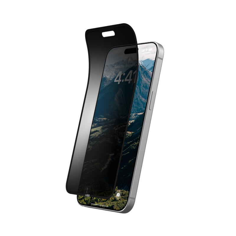 Removable Privacy Screen