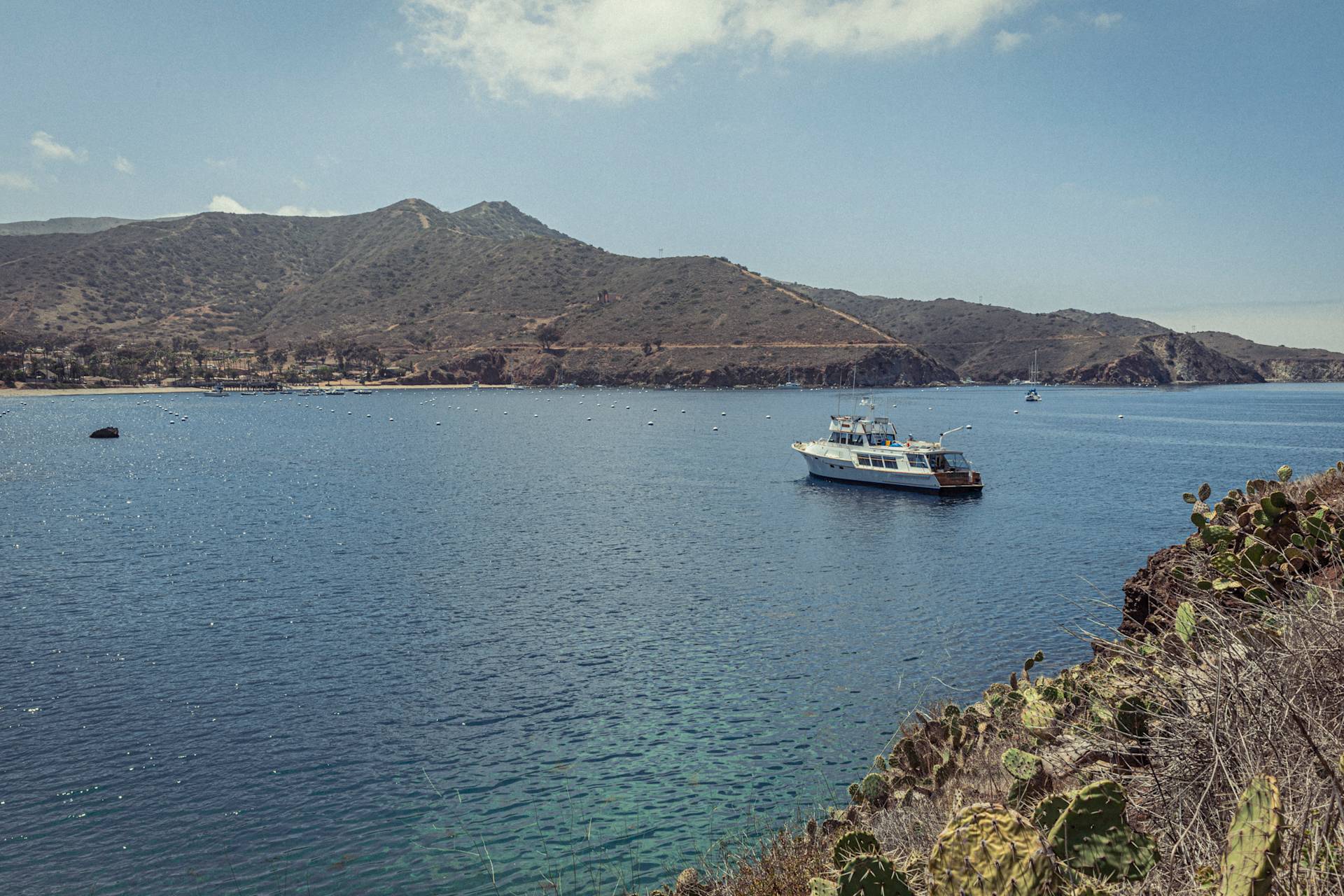 Field Logs - Urban Armor Gear