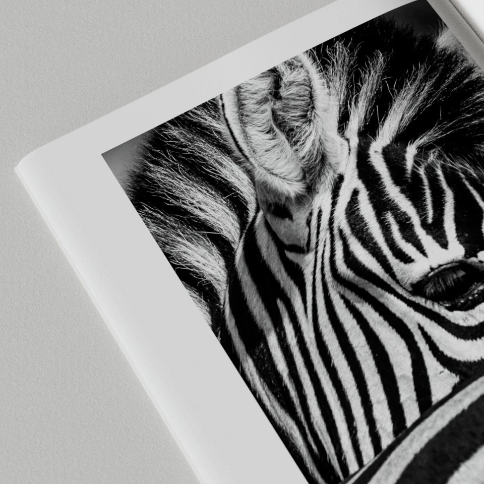 lulu interior premium black & white