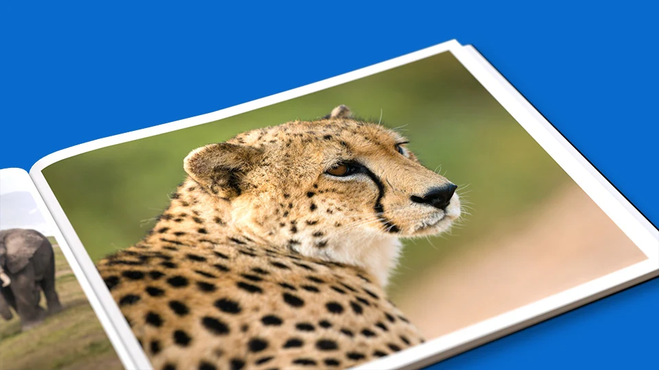 Custom Book Sizes & Book Binding Options | Lulu